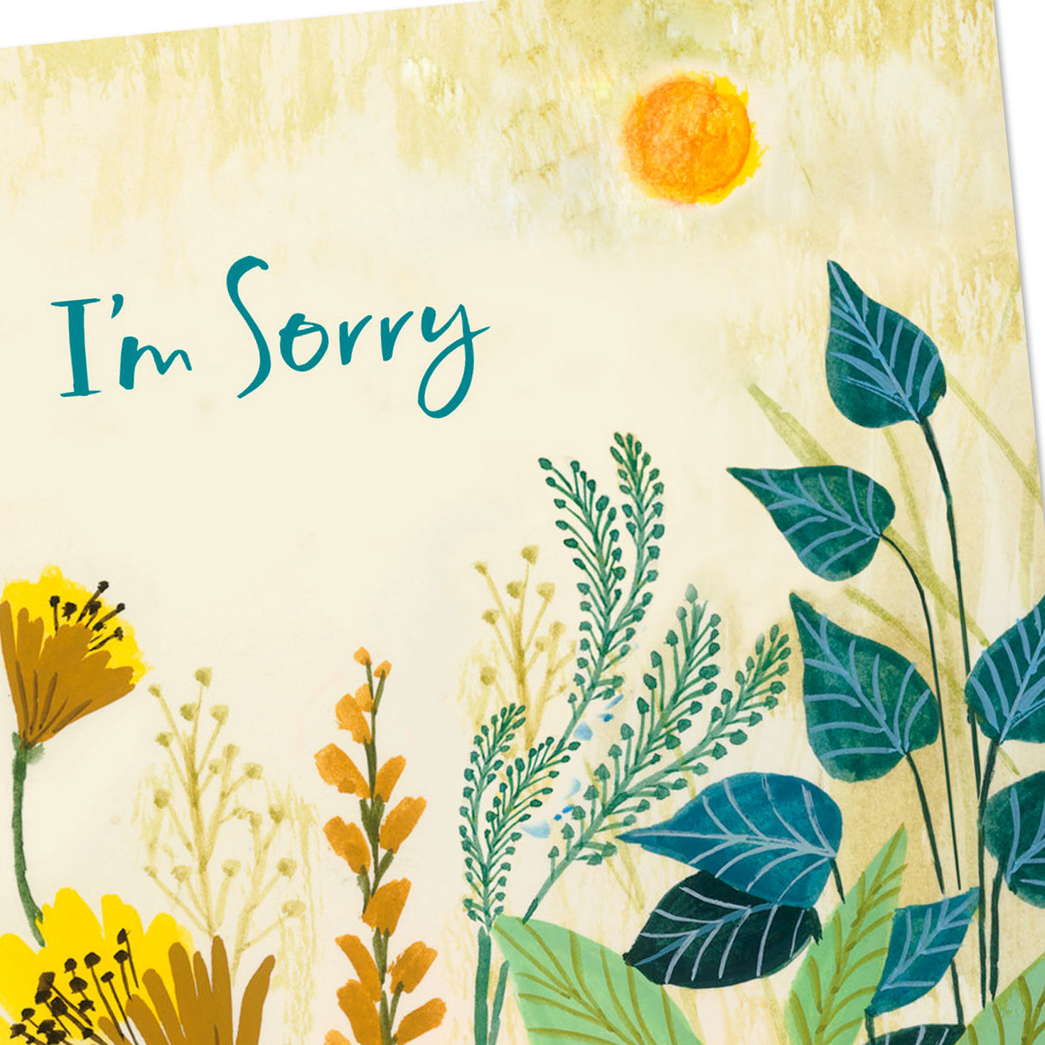 I Hope You Can Forgive Me Apology Card - Greeting Cards | Hallmark