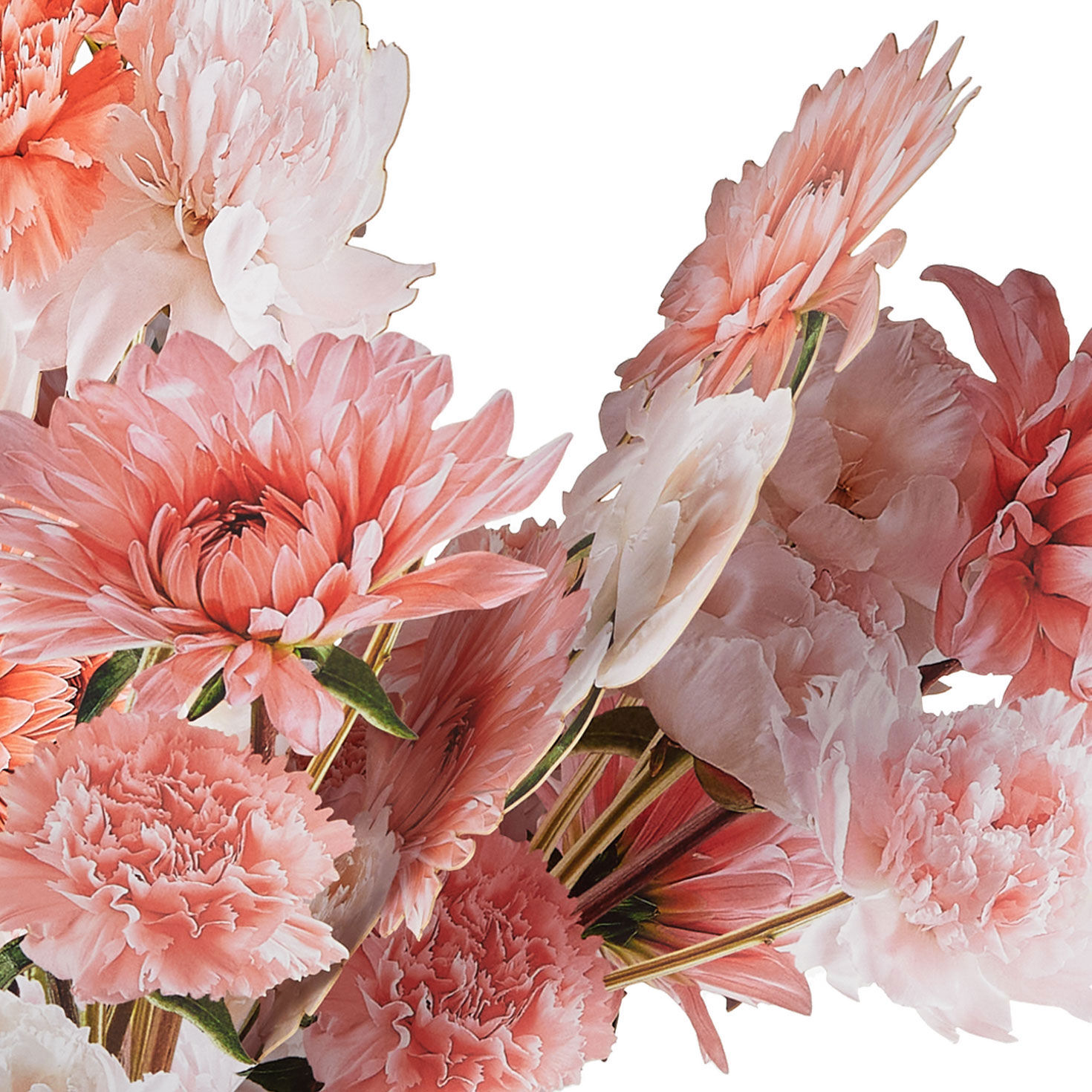 Build-a-Bouquet Pink and White Pop-Up Paper Flowers - Greeting Cards ...