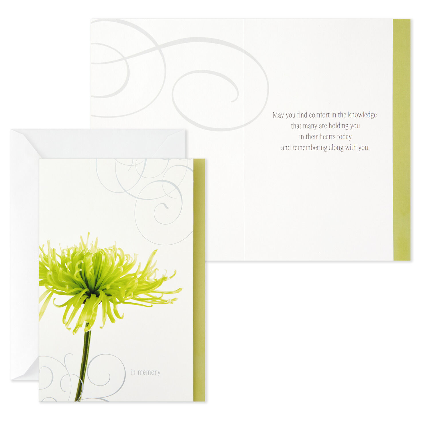 Flower Photos Assorted Sympathy Cards, Box of 12 - Boxed Cards | Hallmark