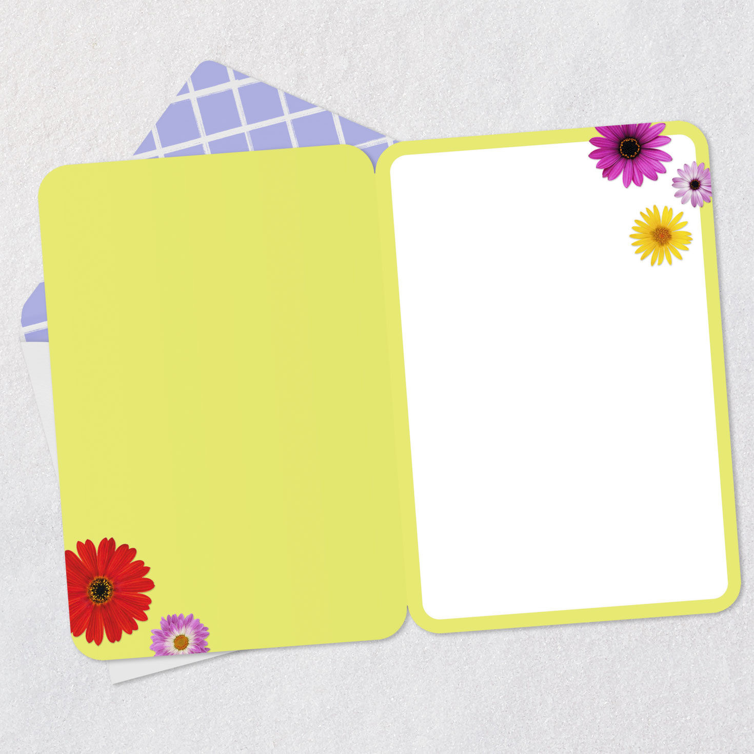 Colorful Daisies Blank Card - Greeting Cards | Hallmark