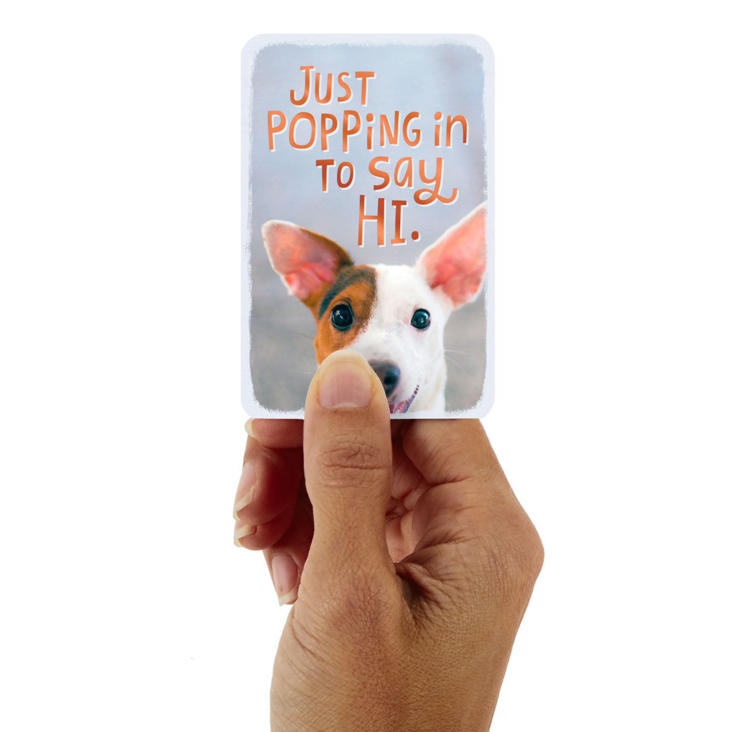 3.25" Mini Puppy Just Popping In Hello Card - Greeting Cards | Hallmark