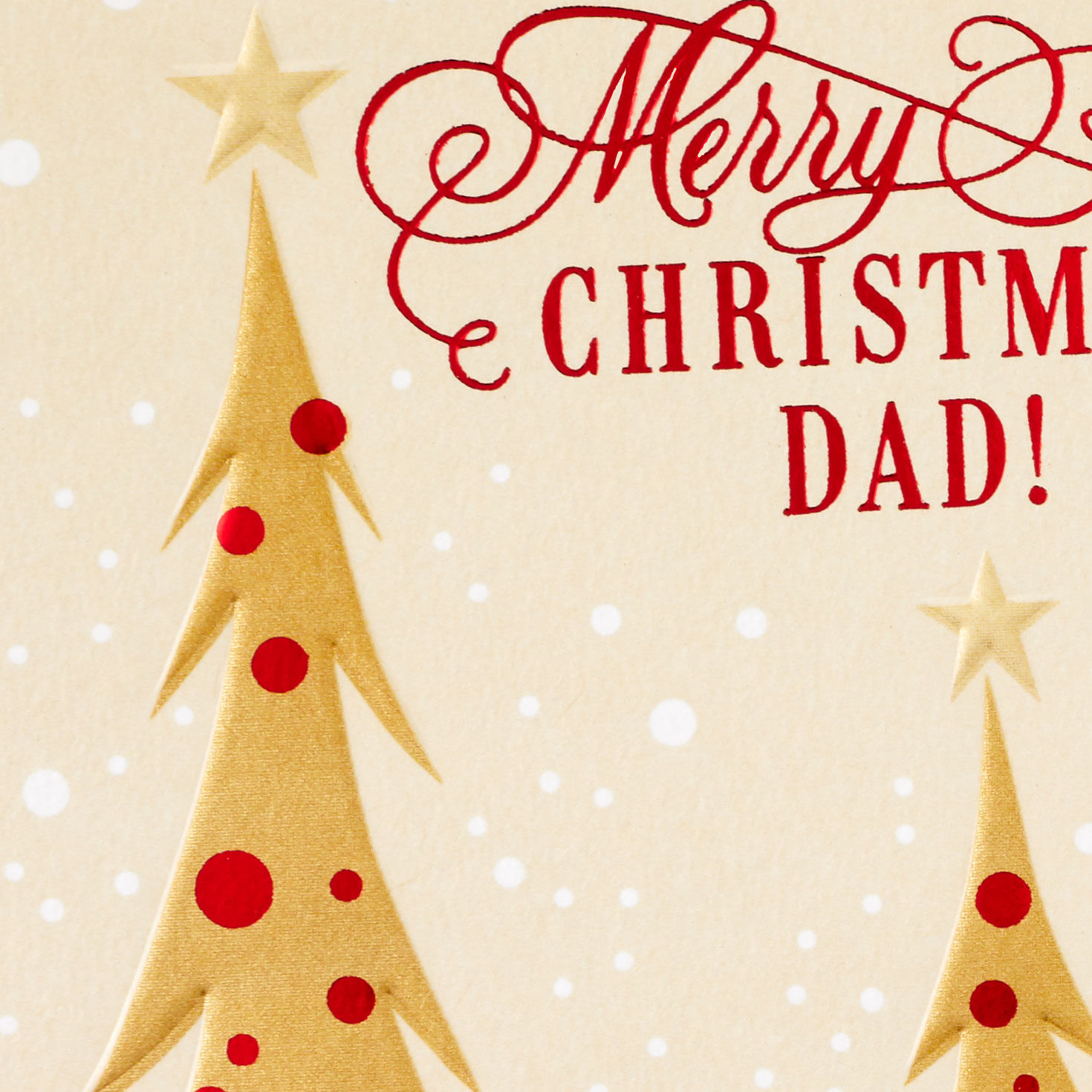 Loved and Admired Christmas Card for Dad - Greeting Cards | Hallmark