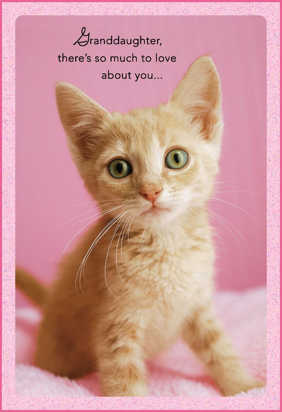 Kitten So Much To Love Birthday Card For Granddaughter Greeting Cards kitten-so-much-to-love-birthday-card-for-granddaughter-greeting-cards
