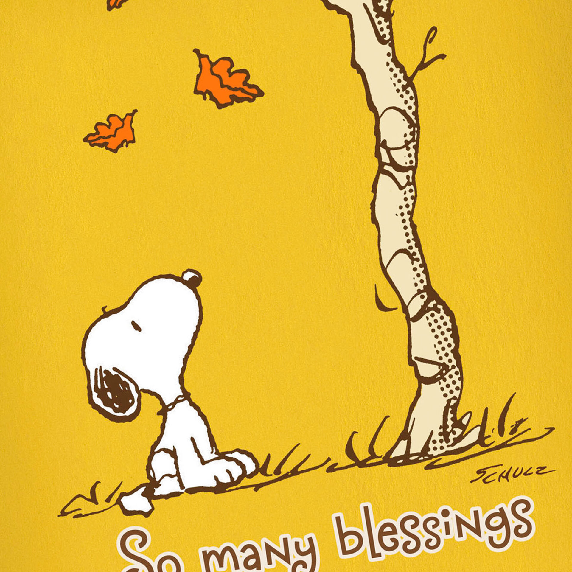 Peanuts® Snoopy Many Blessings to Count Thanksgiving Card - Greeting ...