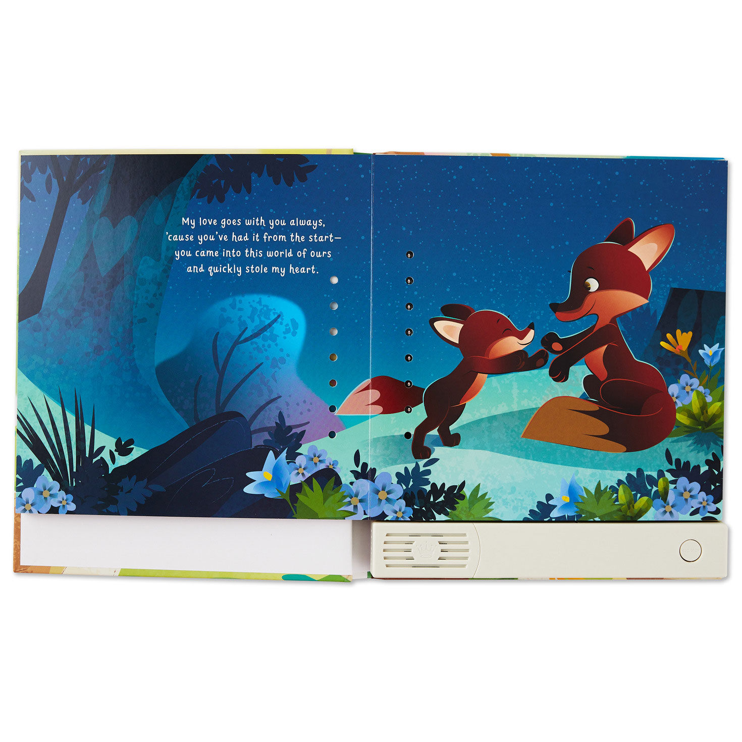 My Heart Goes With You Always Recordable Storybook - Recordable ...
