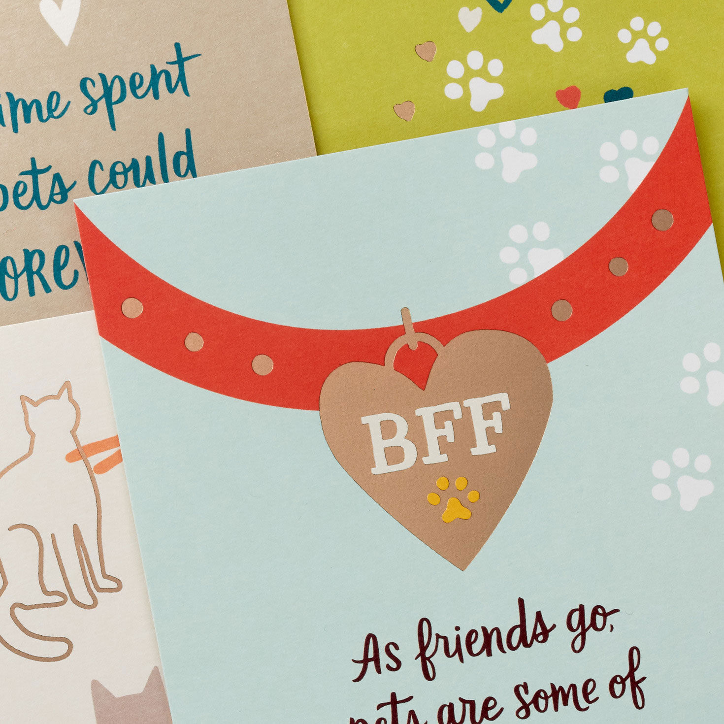 Loss of Pet Assorted Sympathy Cards, Pack of 16 - Boxed Cards | Hallmark