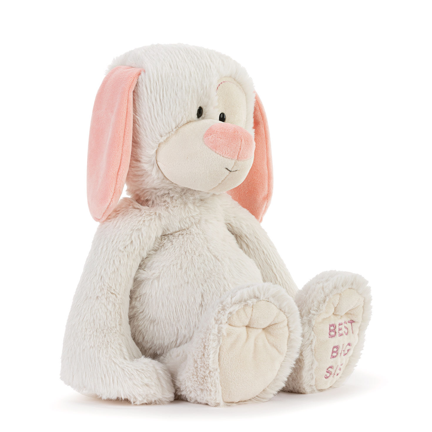 Demdaco Best Big Sister Dog Stuffed Animal, 16" - Classic Stuffed ...