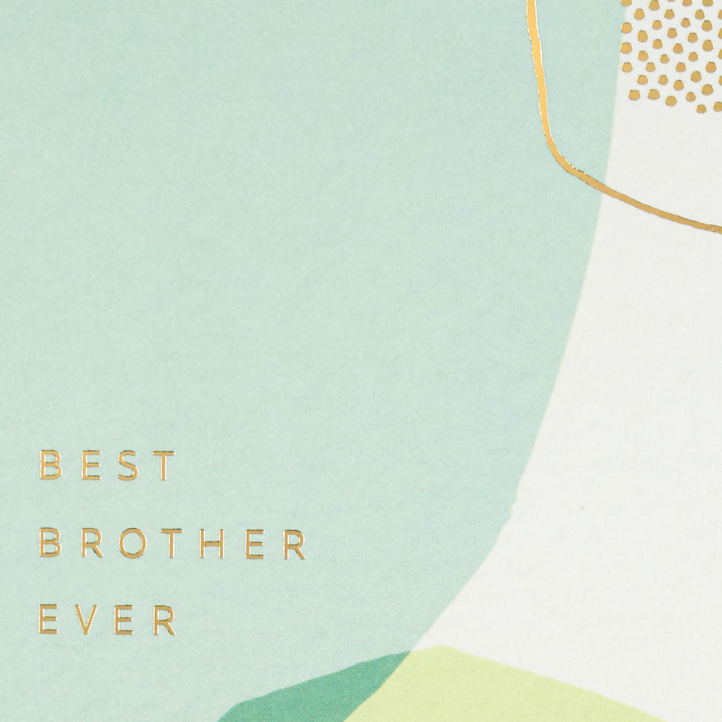 Best Brother Ever Birthday Card for Brother - Greeting Cards | Hallmark