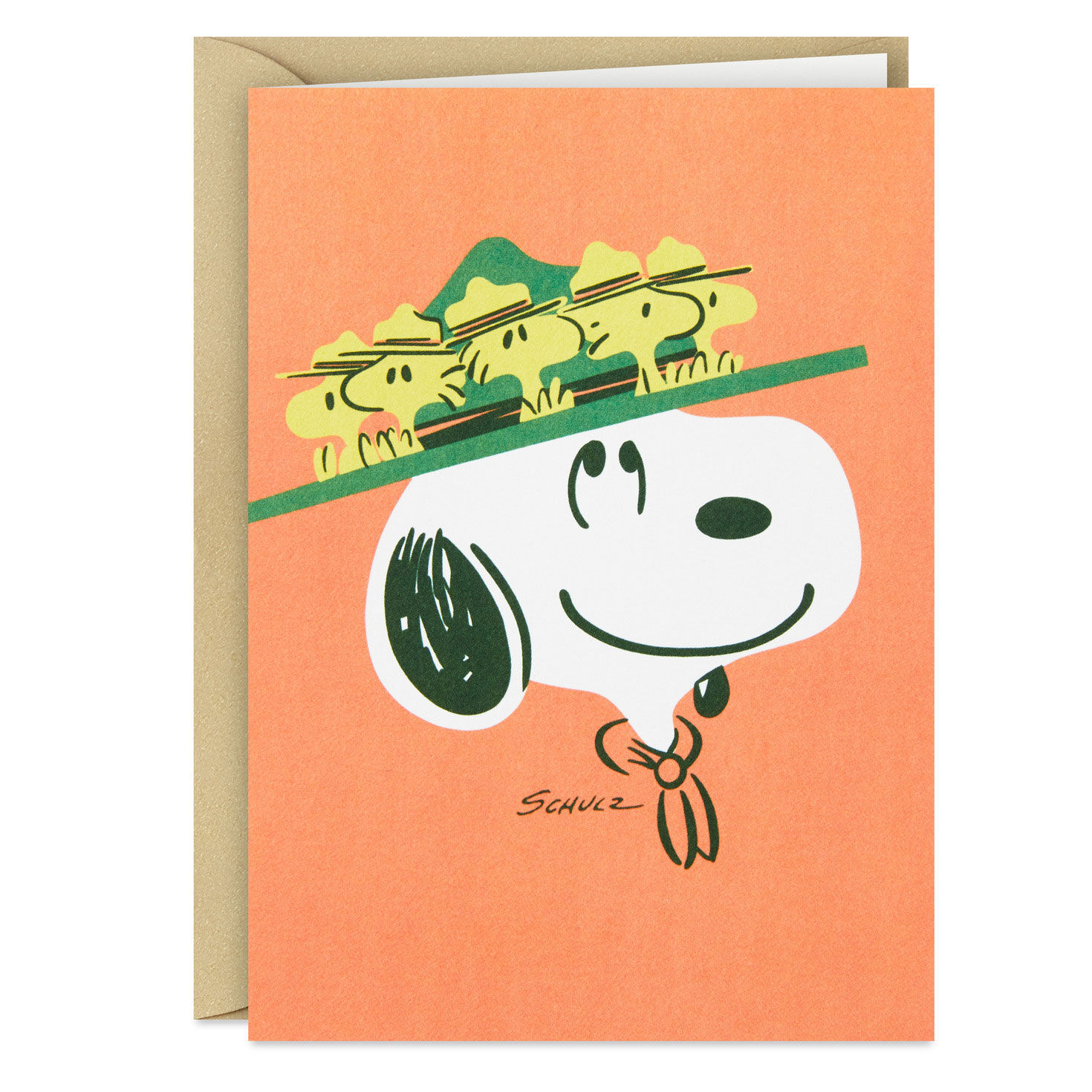 Peanuts® Beagle Scouts Snoopy and Friends Boxed Blank Cards, Pack of 10 ...
