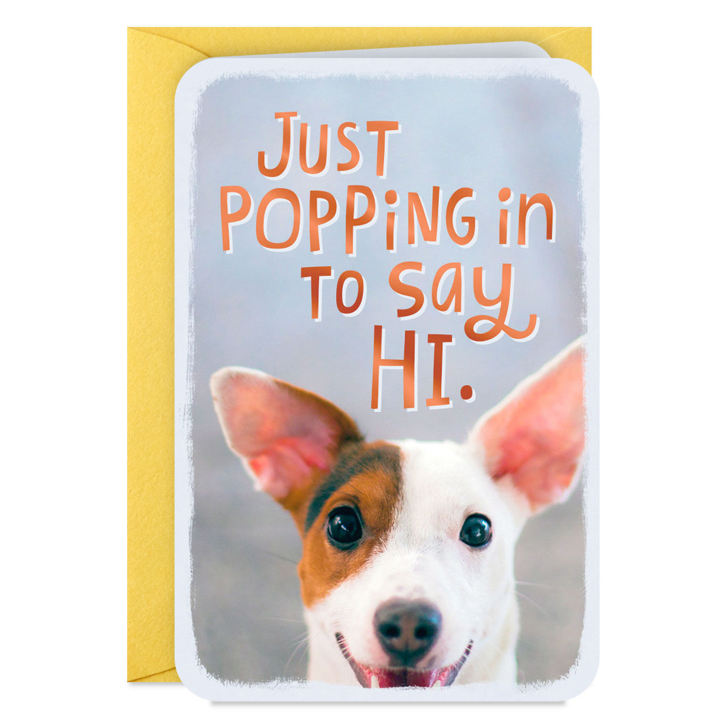 3.25" Mini Puppy Just Popping In Hello Card - Greeting Cards | Hallmark