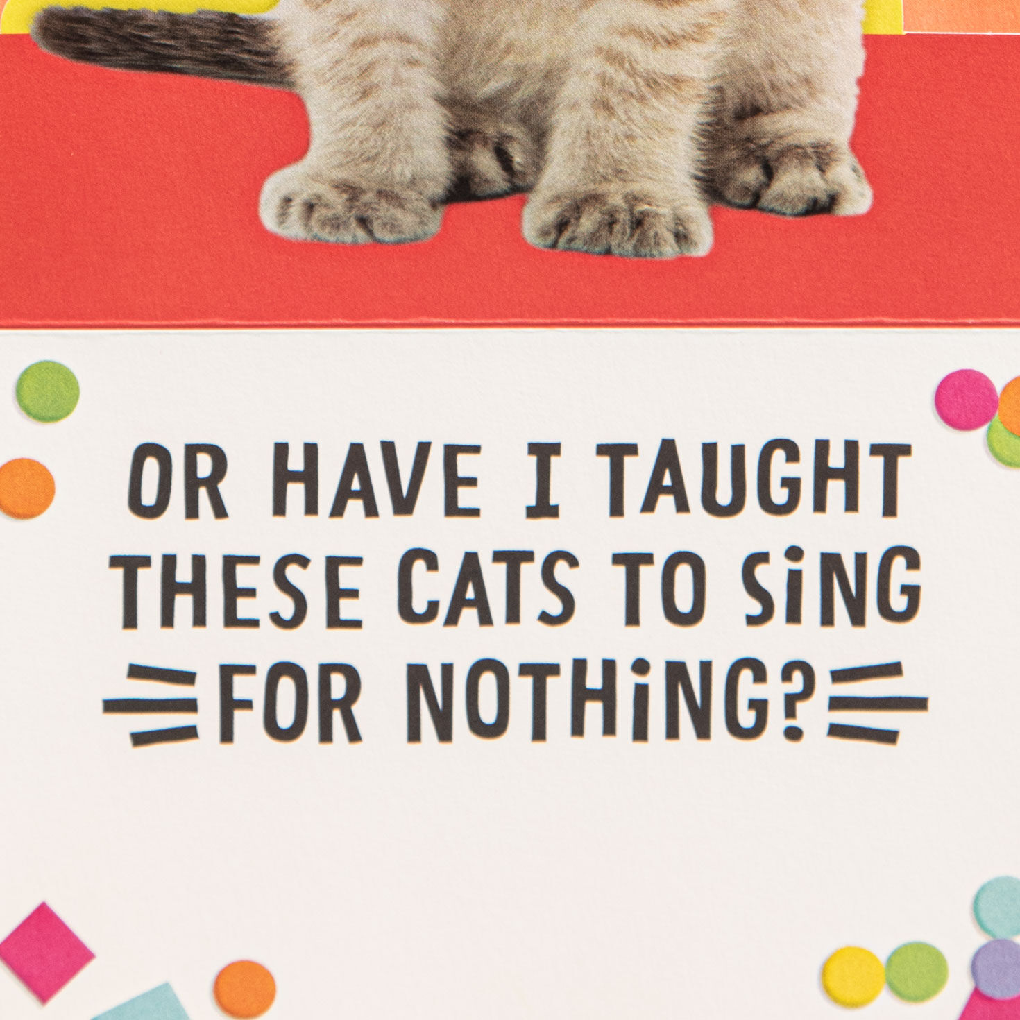 Singing Cats Funny Musical Pop-Up Birthday Card - Greeting Cards | Hallmark