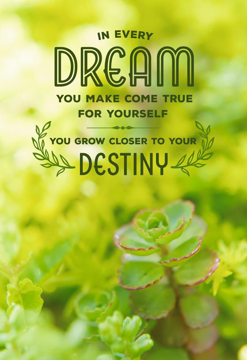 Encouragement Cards | Hallmark