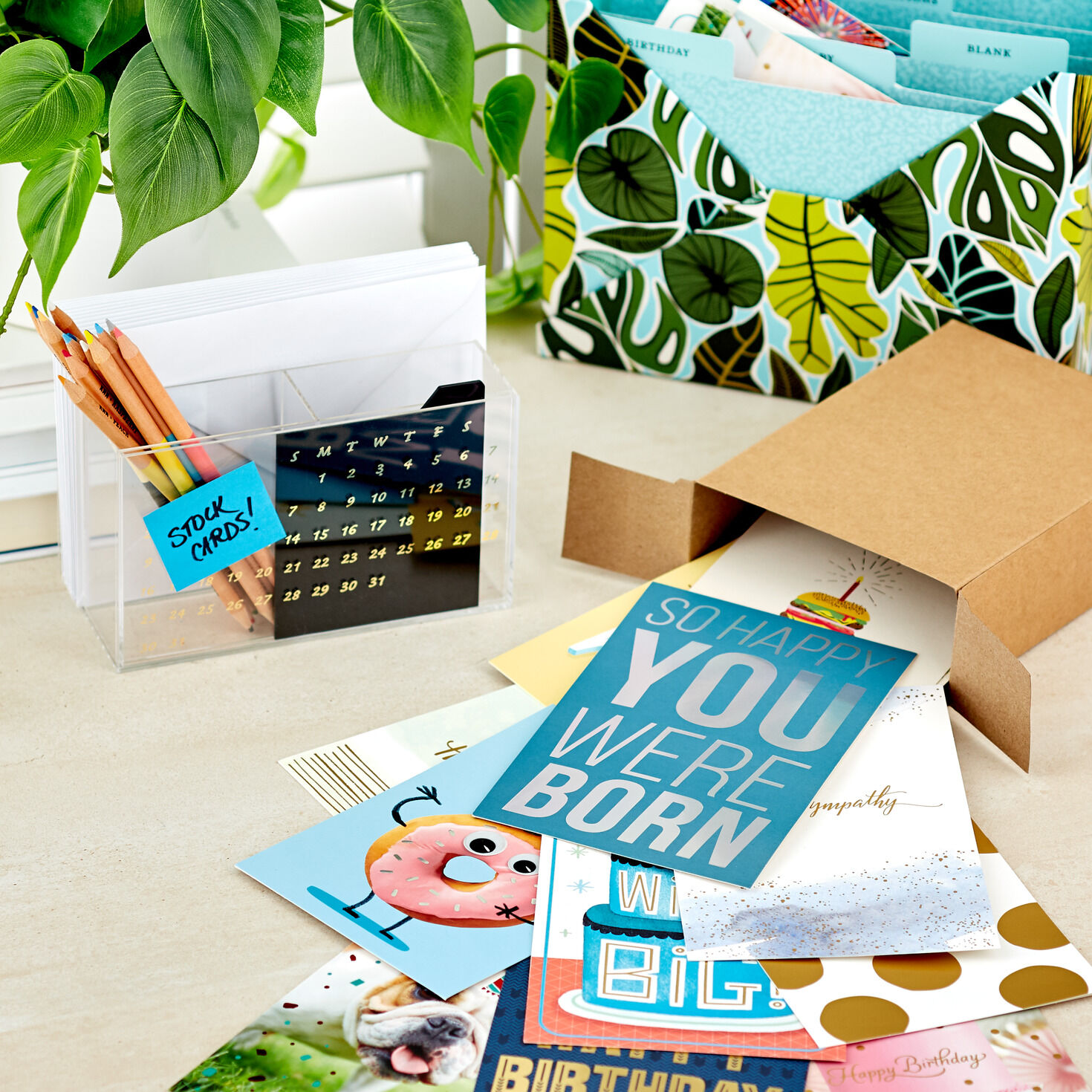 Warm Wishes Assorted All-Occasion Cards, Box of 48 - Boxed Cards | Hallmark