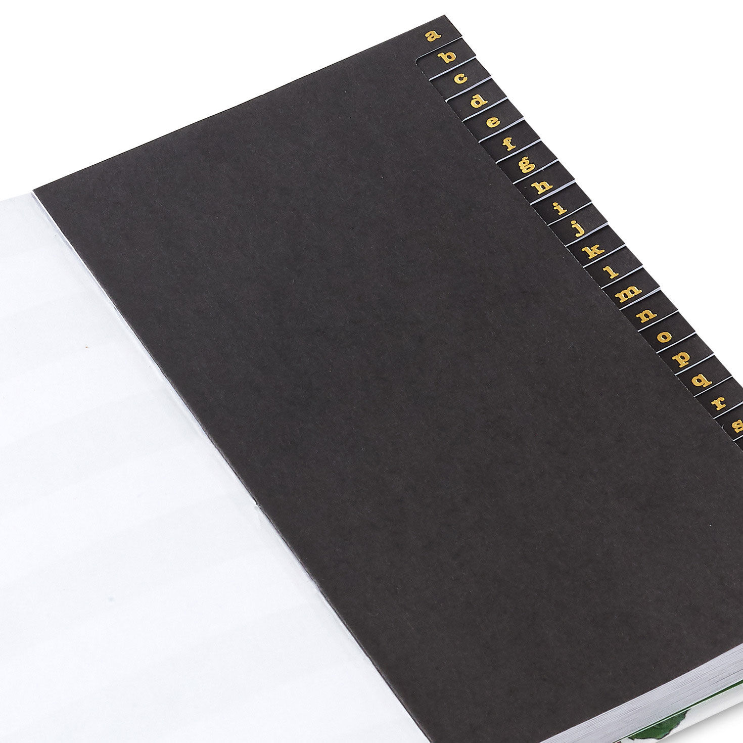 Fuchsia Floral Password Keeper - Address Books | Hallmark