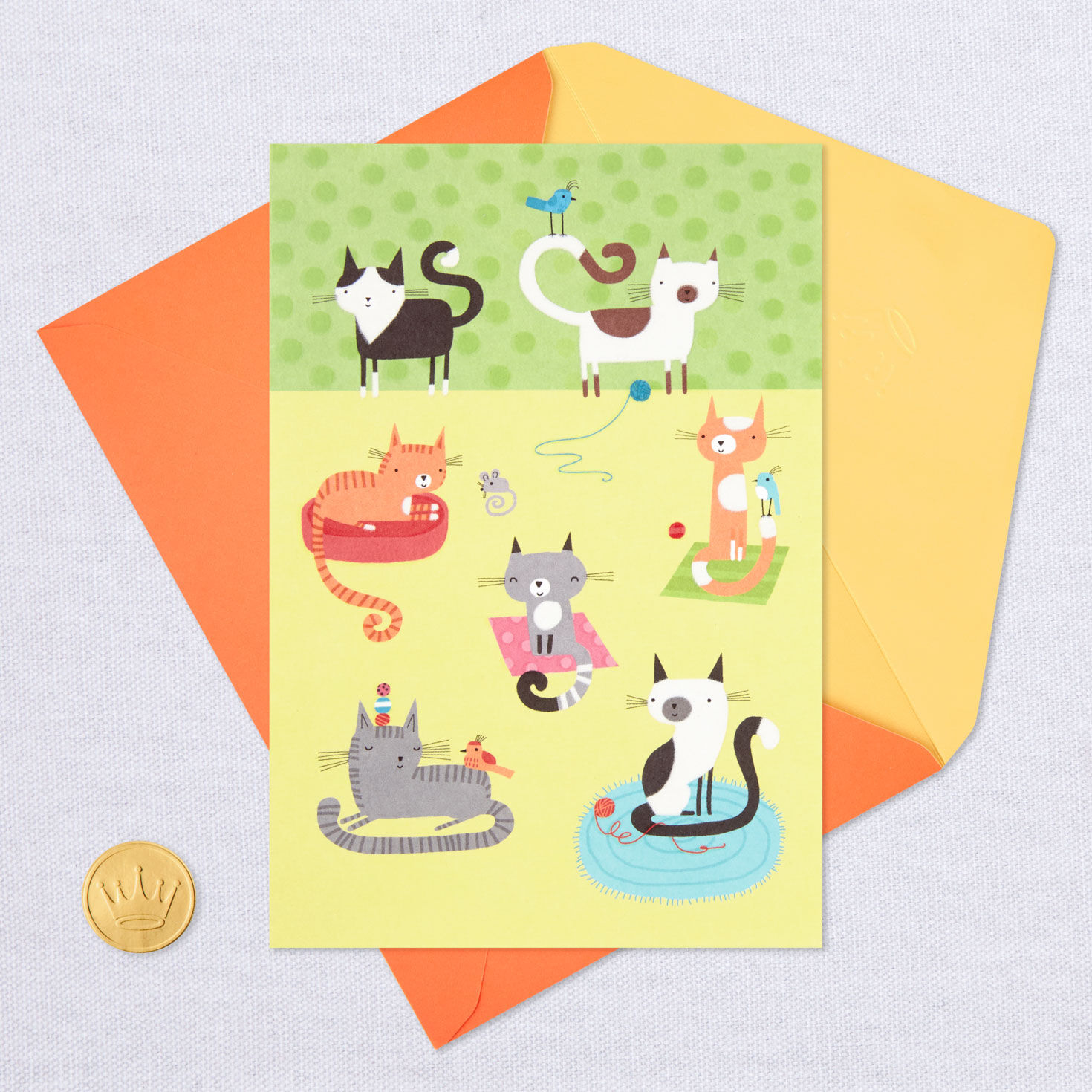 Cute Cats Blank Card - Greeting Cards | Hallmark