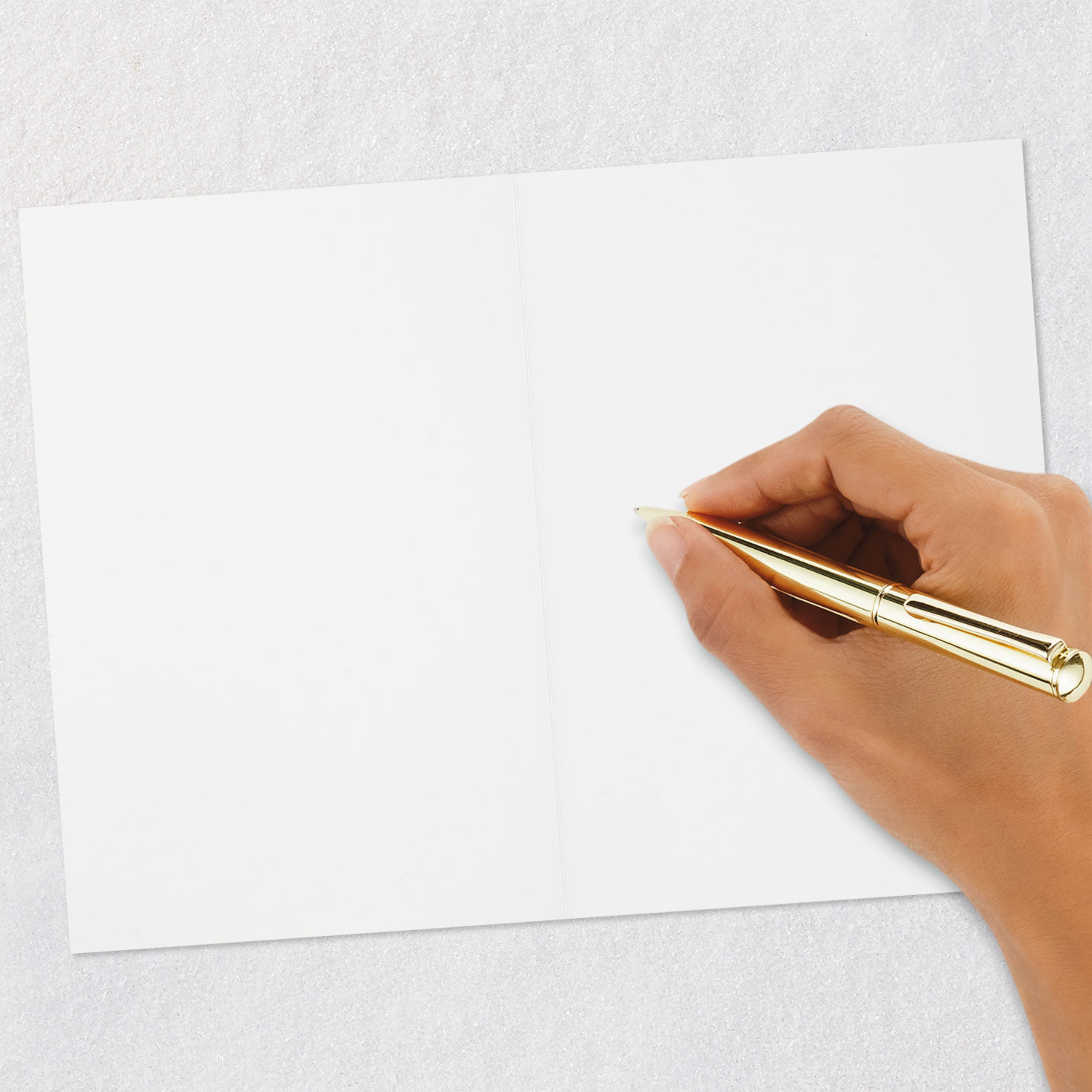 Dogs on Blue Blank Card - Greeting Cards | Hallmark