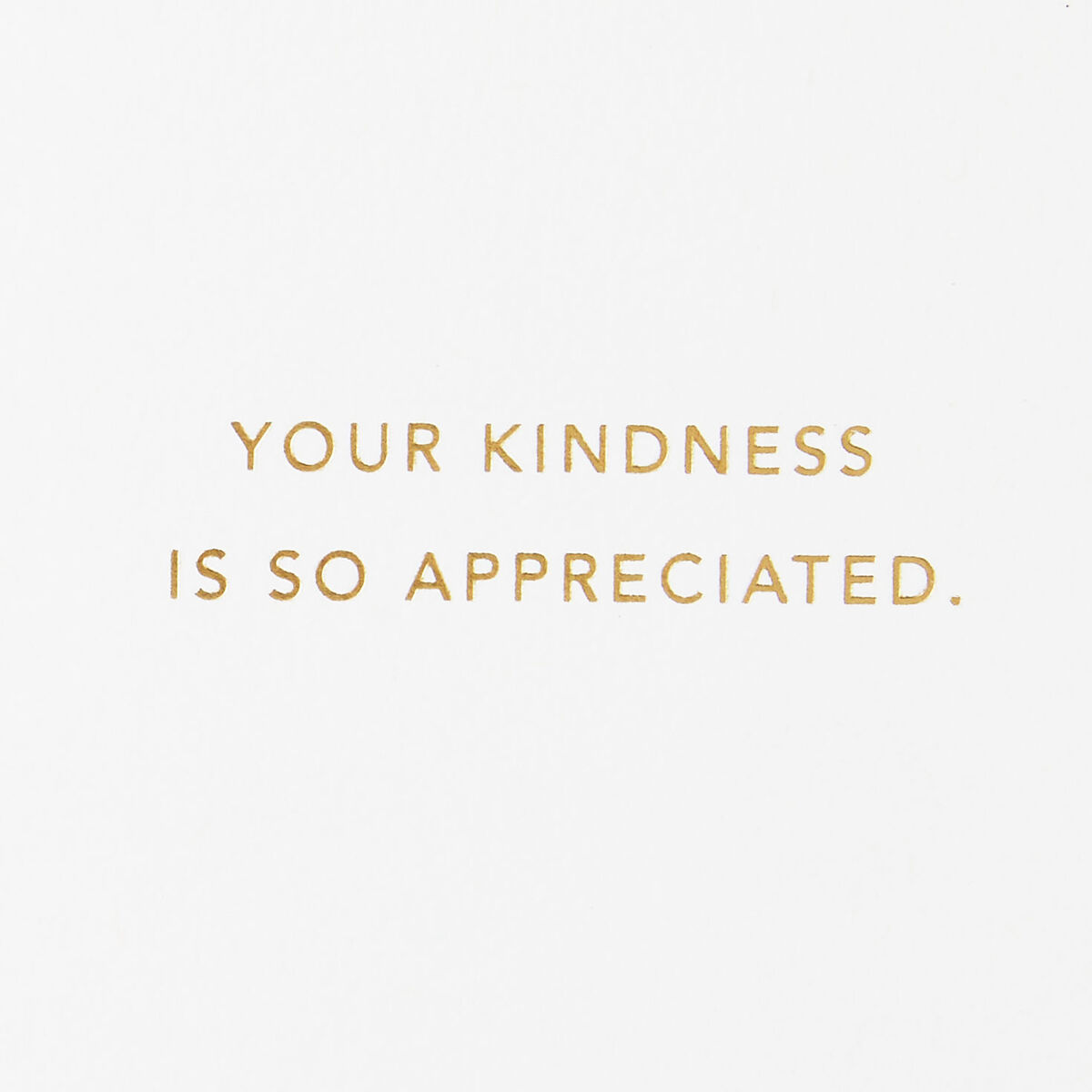 ArtLifting Your Kindness Is Appreciated Thank-You Card - Greeting Cards ...