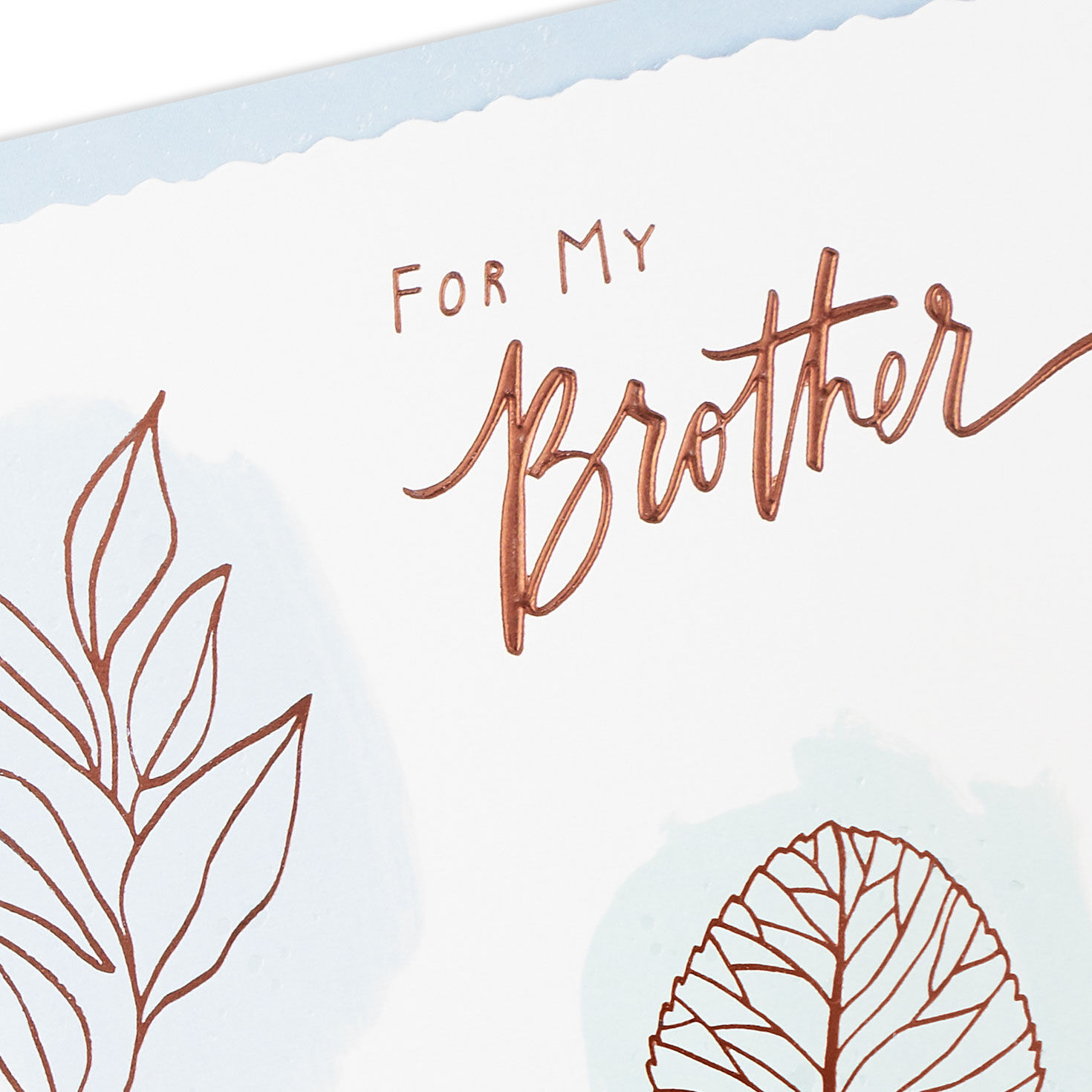 You're One Great Brother Birthday Card - Greeting Cards | Hallmark