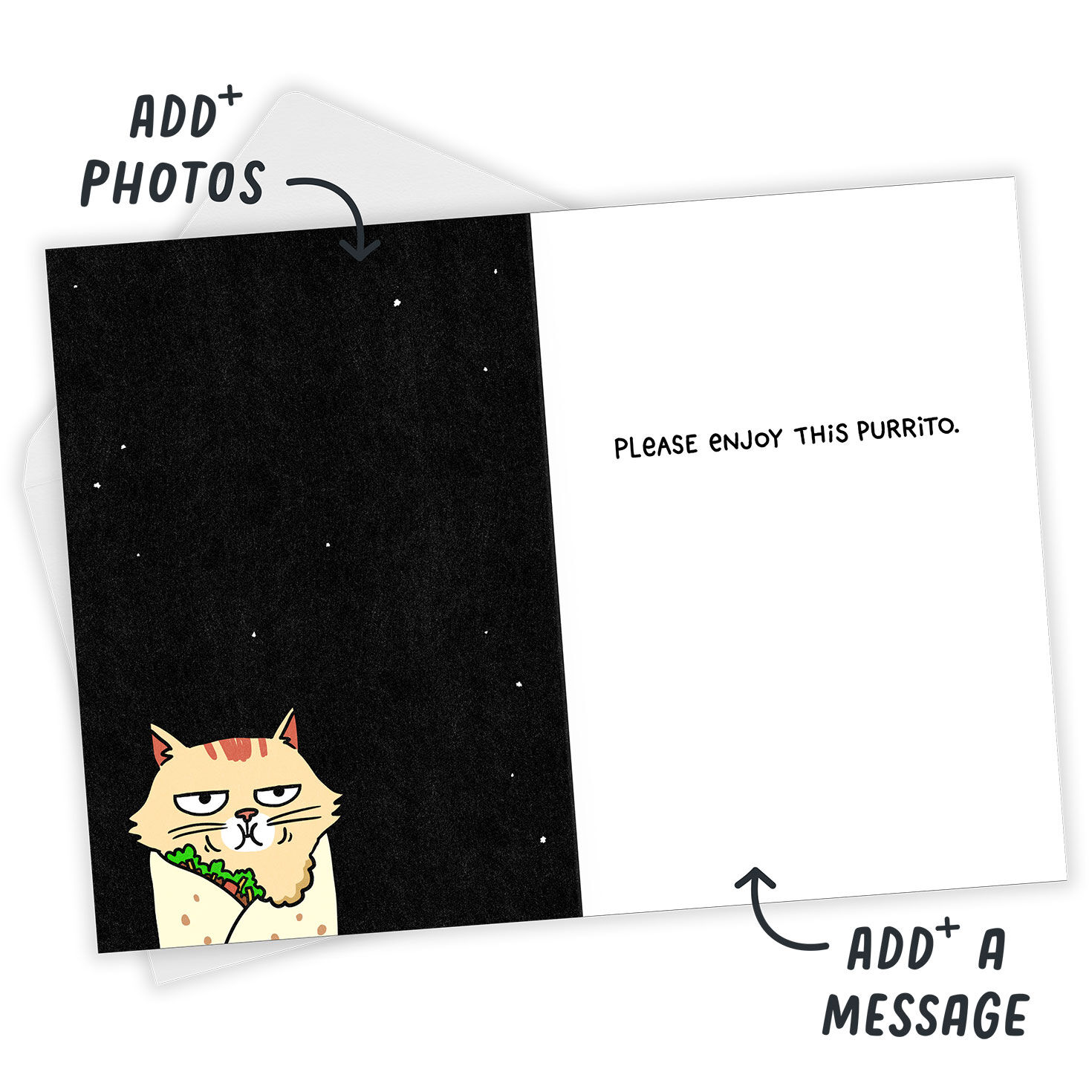 Cat Burrito Funny eCard - Greeting Cards | Hallmark