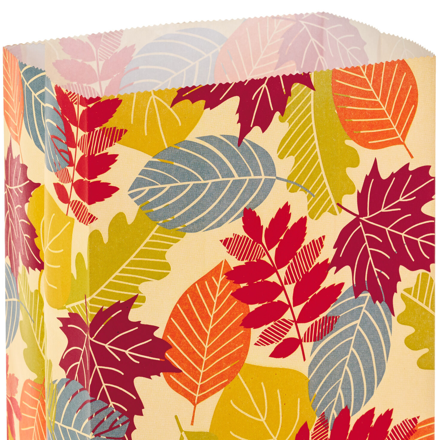Fall Leaves Paper Goodie Bags, Pack of 30 - Party Favors | Hallmark