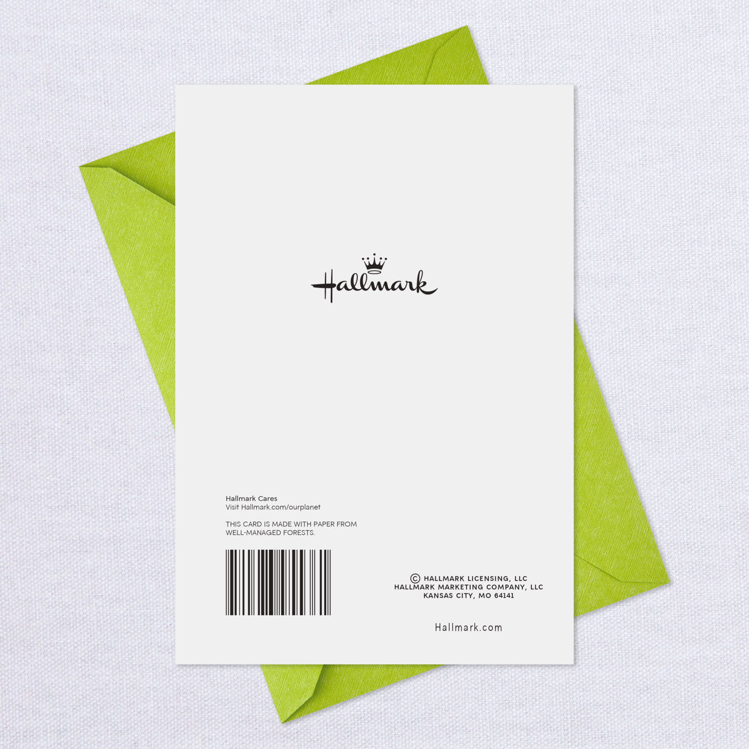 Champagne Toast Blank Card - Greeting Cards | Hallmark