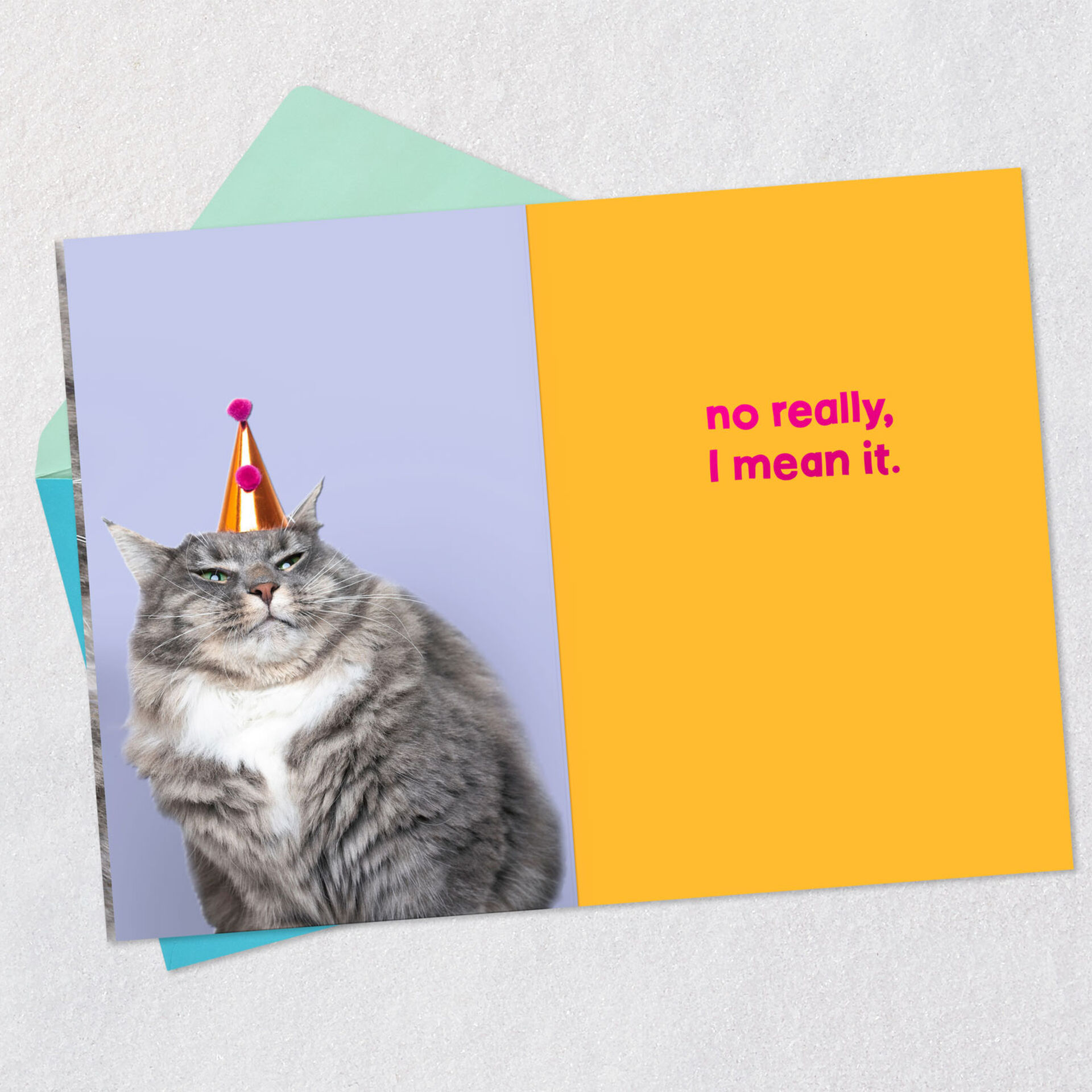 Grumpy Cat Funny Birthday Card - Greeting Cards - Hallmark