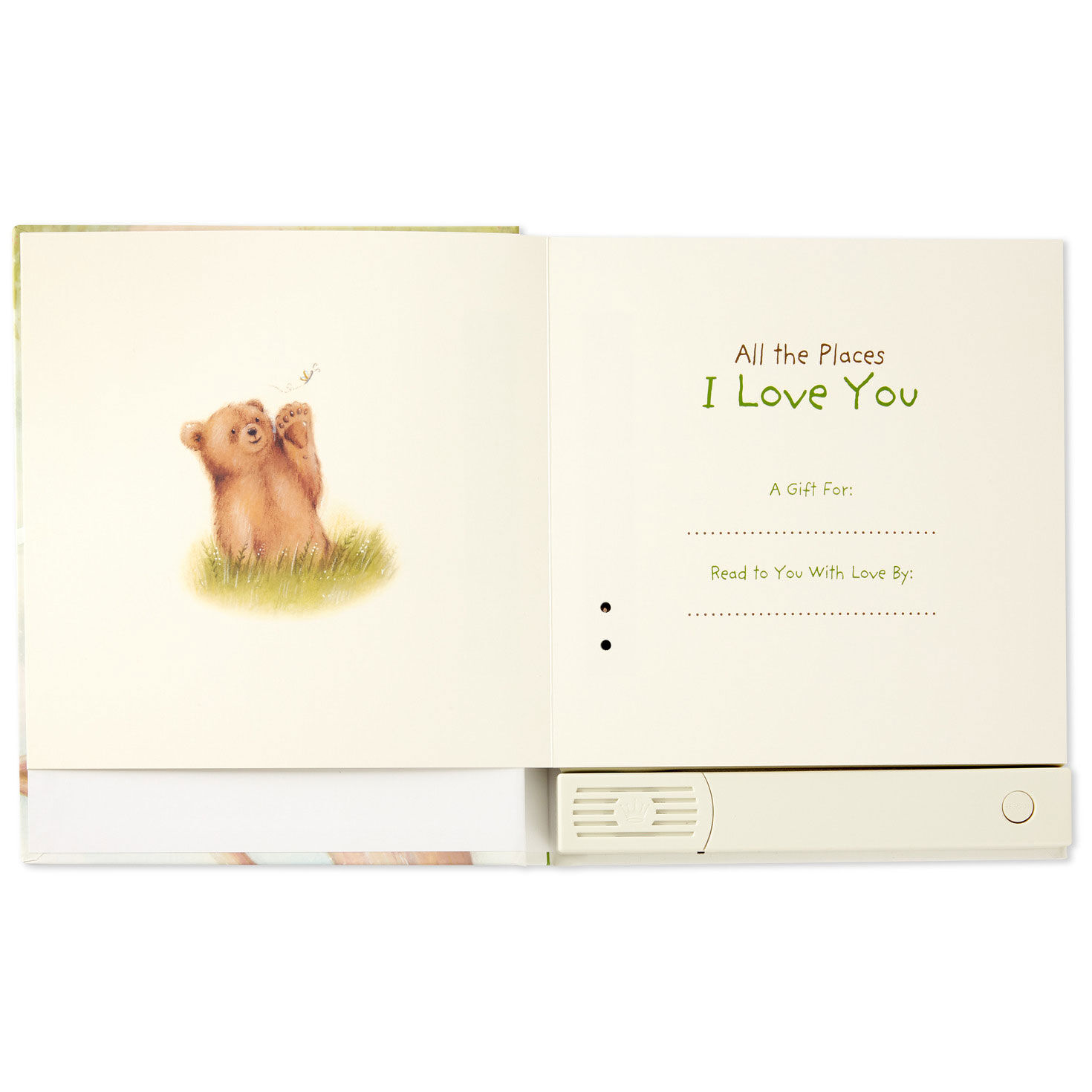 All The Places I Love You Recordable Storybook With Music - Recordable ...