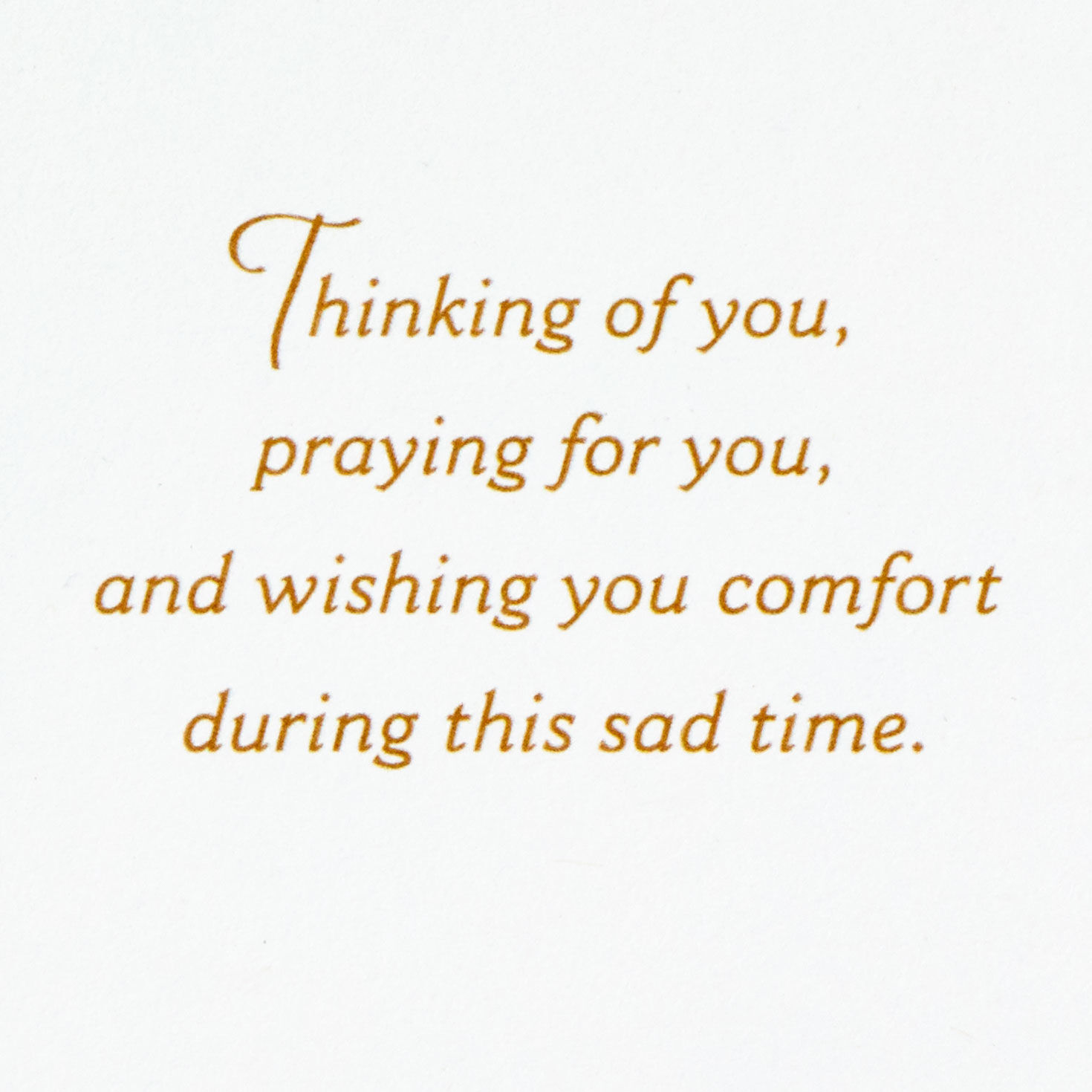 Praying for Comfort at this Sad Time Sympathy Card - Greeting Cards ...
