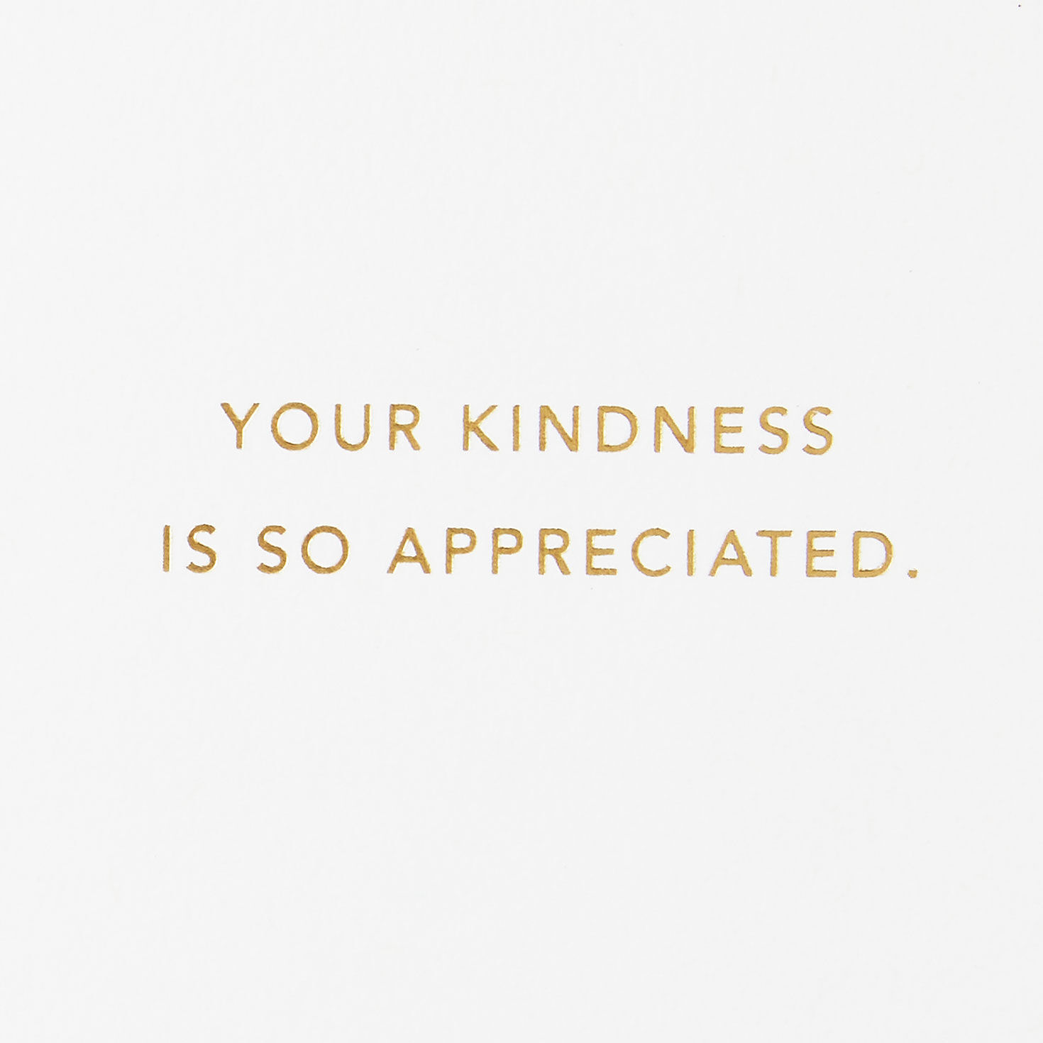 ArtLifting Your Kindness Is Appreciated Thank-You Card - Greeting Cards ...