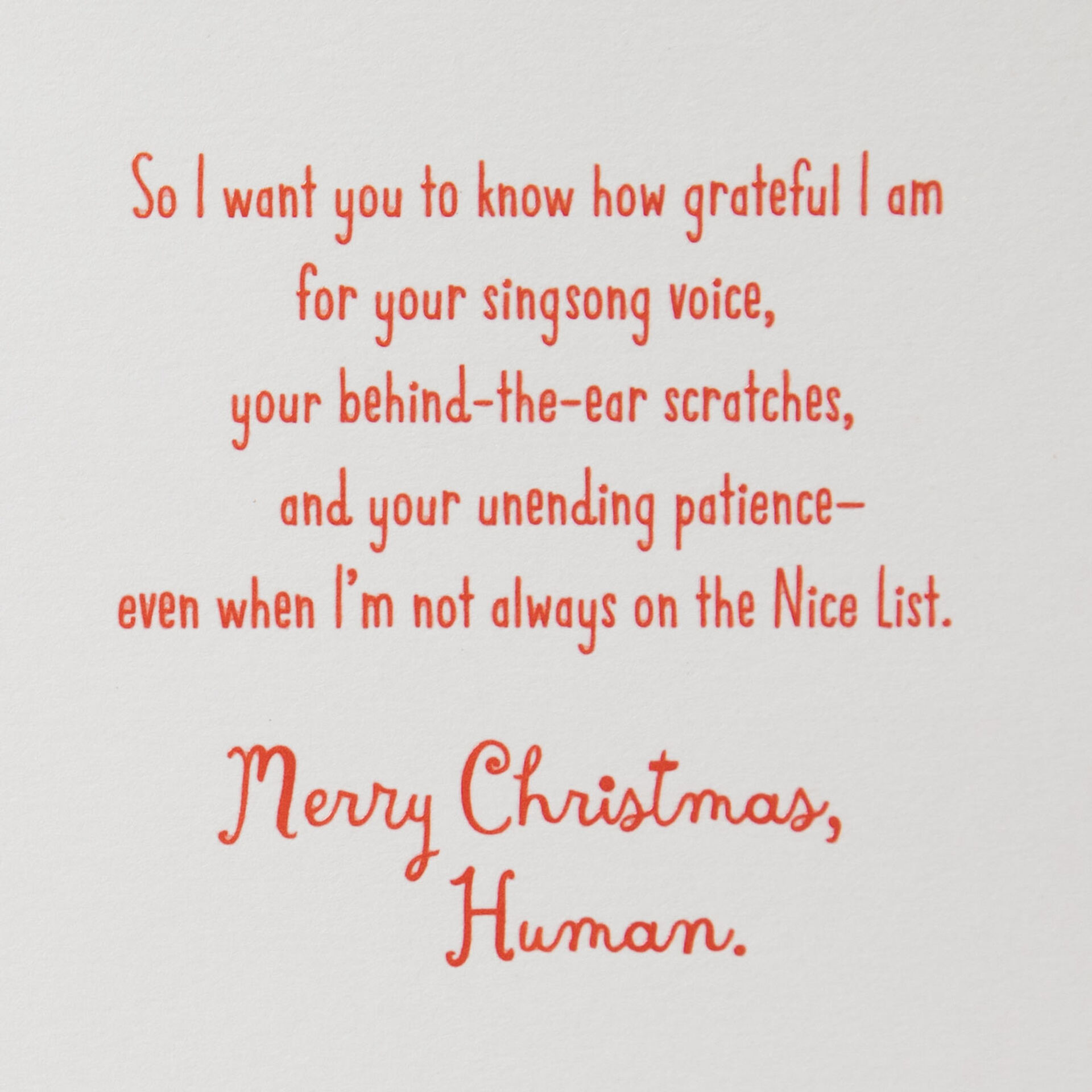 Naughty List Santa Cat Christmas Card from the Cat - Greeting Cards ...