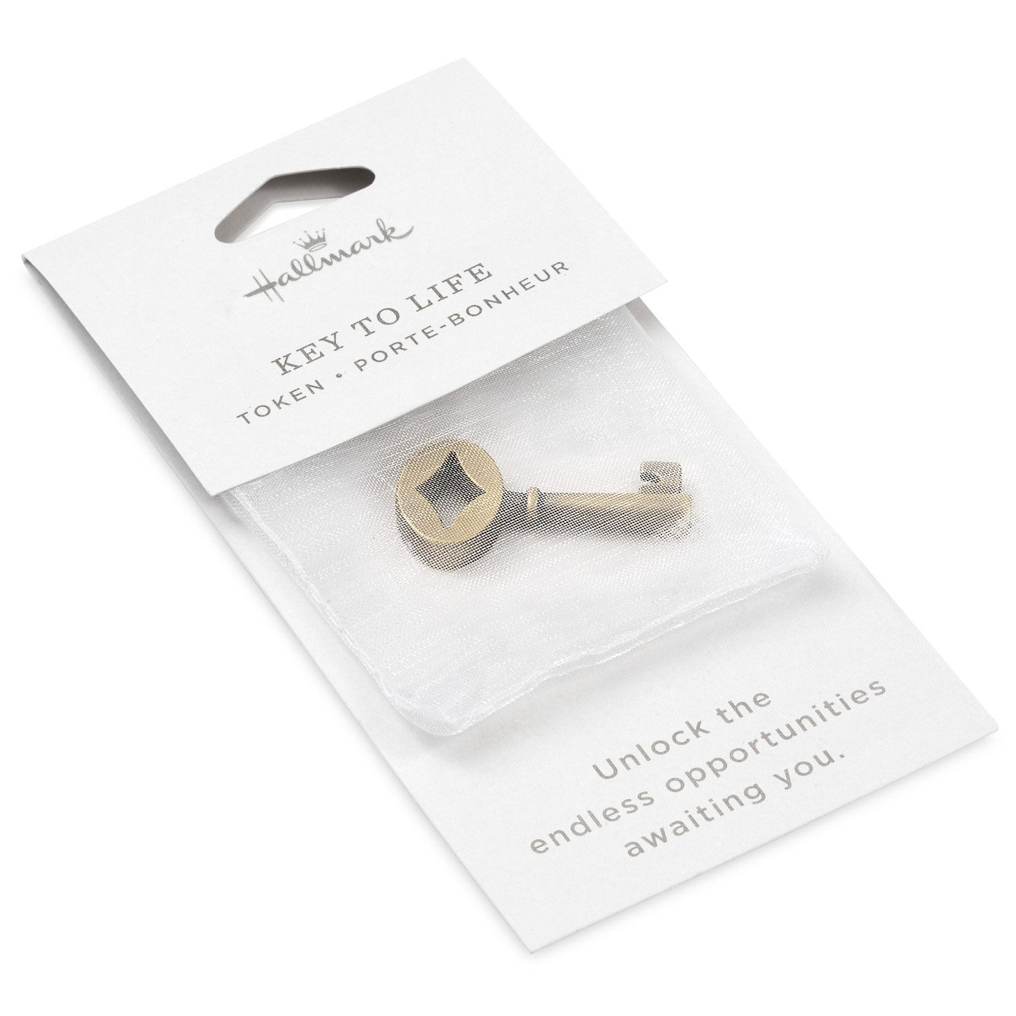 Unlock Opportunities Key Metal Pocket Token - Tokens & Trinkets | Hallmark