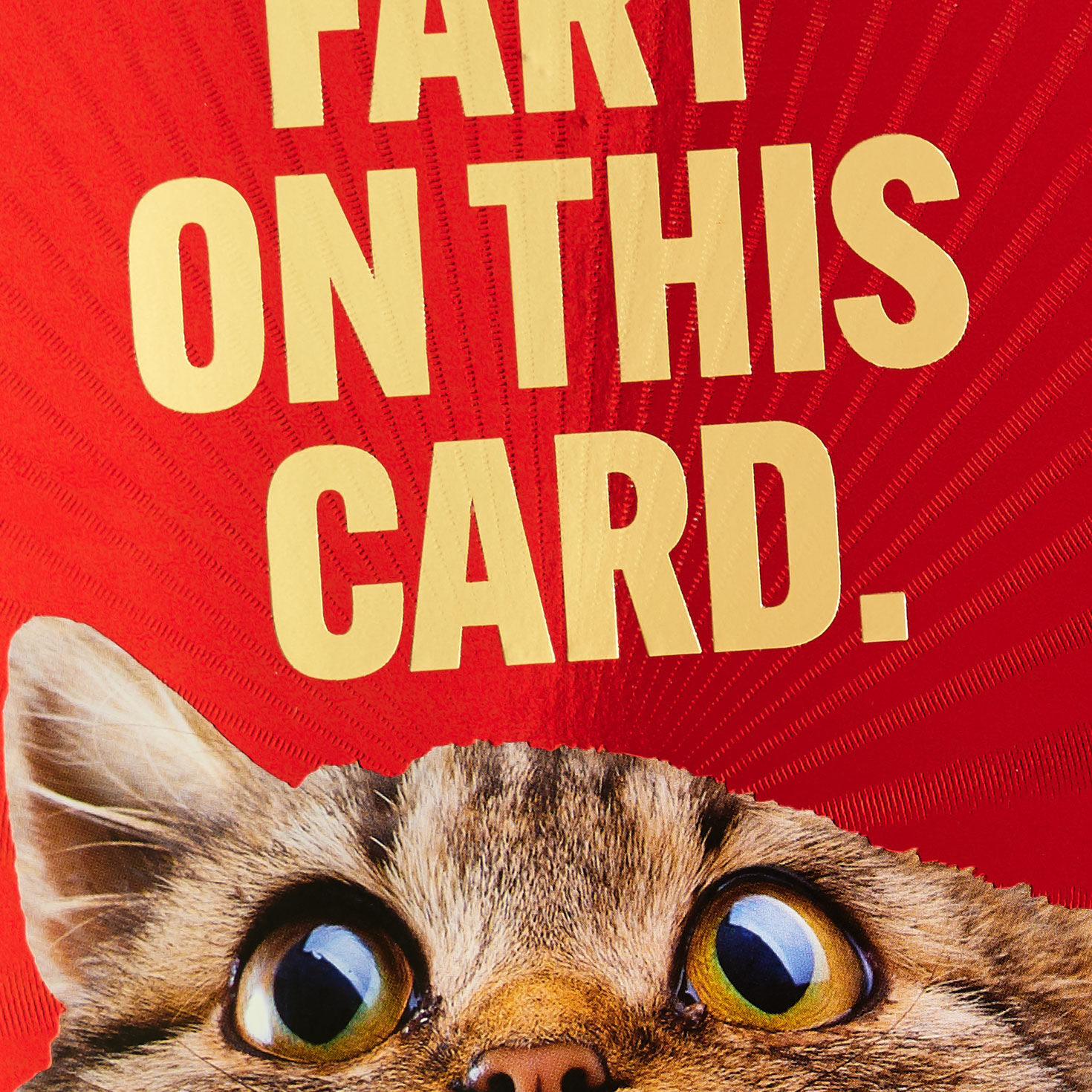 I Did Not Fart Or Did I? Funny Birthday Card - Greeting Cards | Hallmark