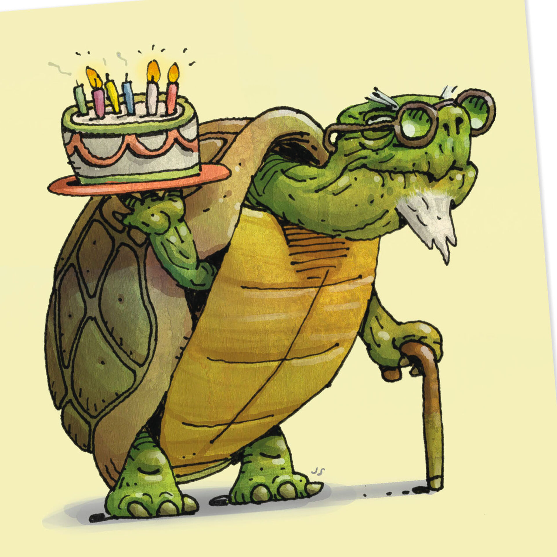Whippersnapper Old Turtle With Cake Funny Birthday Card - Greeting ...