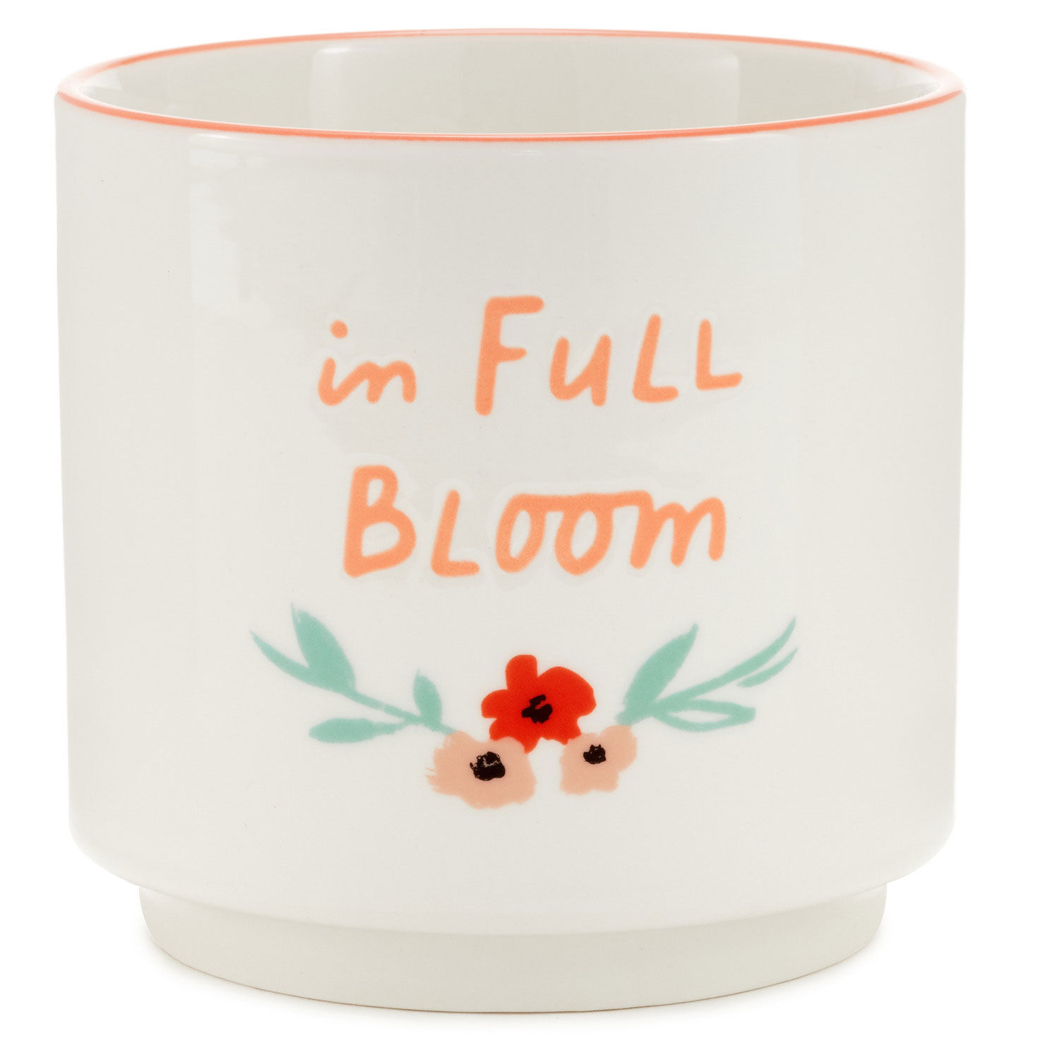 In Full Bloom Ceramic Planter - Garden & Artificial Plants | Hallmark