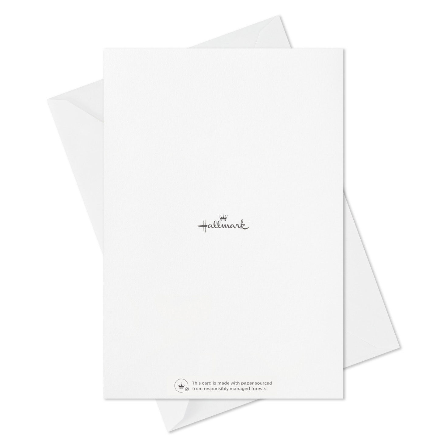 Trendy Lettering Boxed All-Occasion Cards Assortment, Pack of 12 ...