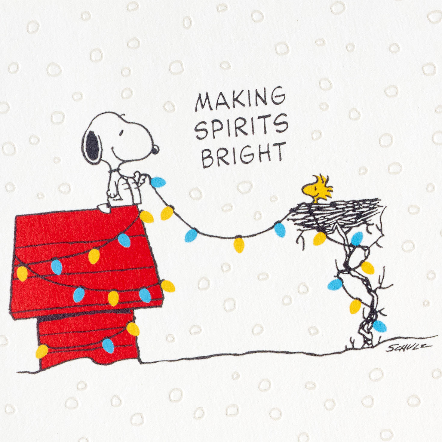 Peanuts® Snoopy and Woodstock Hanging Lights Boxed Christmas Cards ...