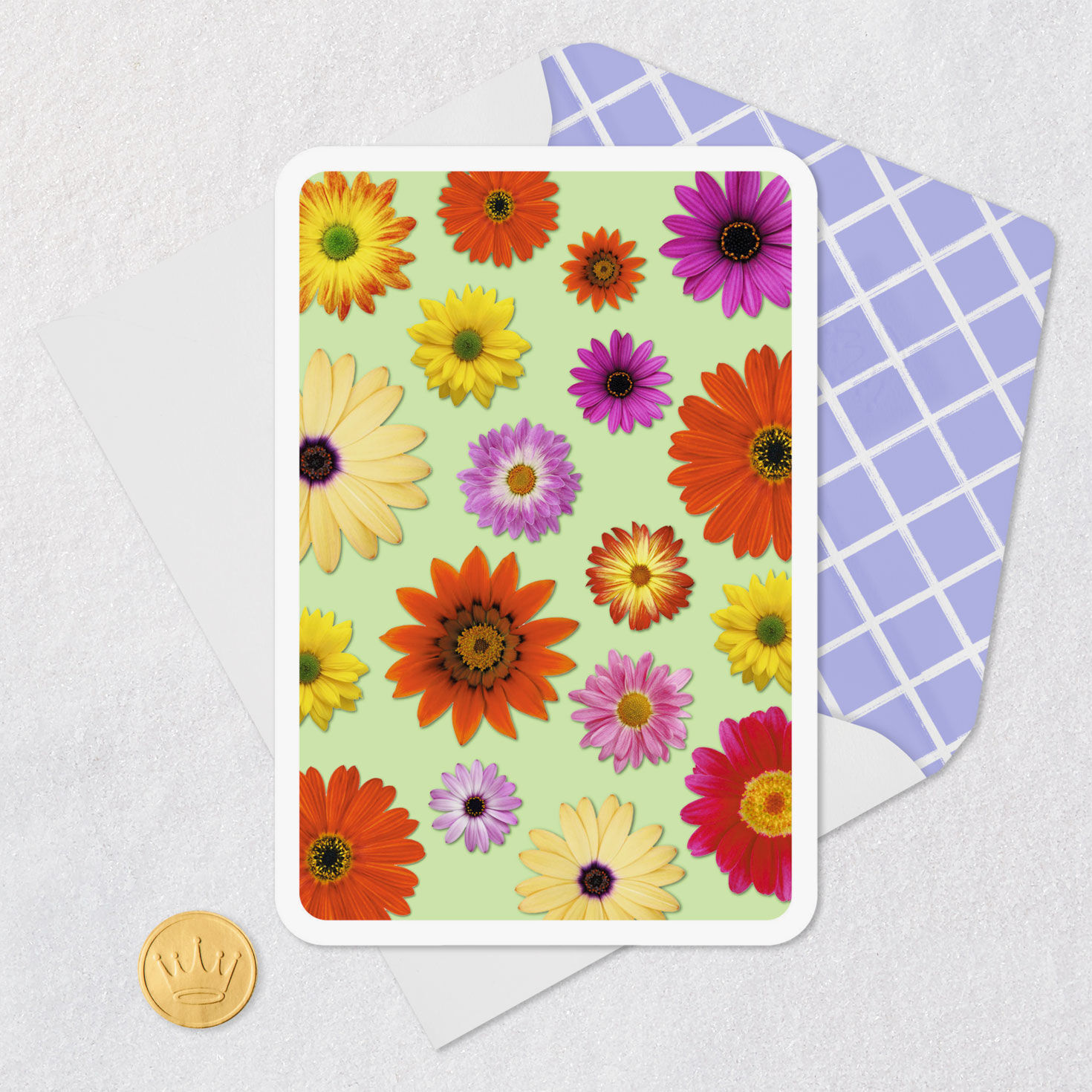 Colorful Daisies Blank Card - Greeting Cards | Hallmark