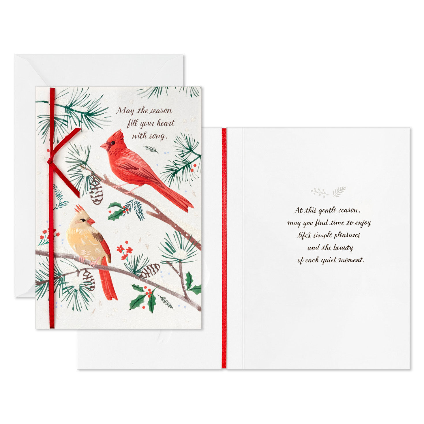 Cardinals on Pine Branches Boxed Christmas Cards, Pack of 12 - Boxed ...