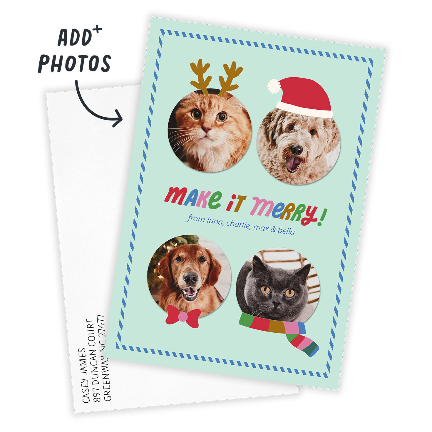 Festive Faces Flat Christmas Photo Card - Photo Cards | Hallmark