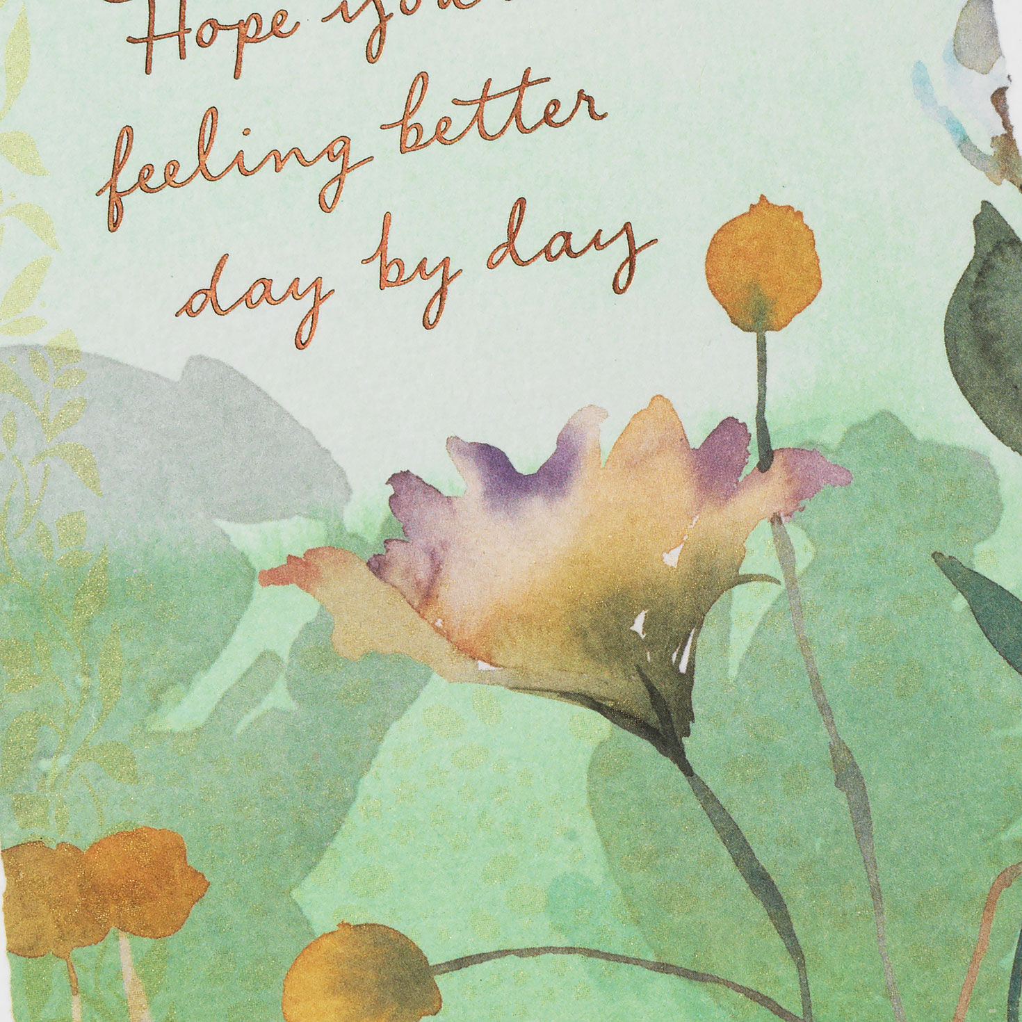 Hope You're Soon Feeling Your Best Get Well Card - Greeting Cards ...