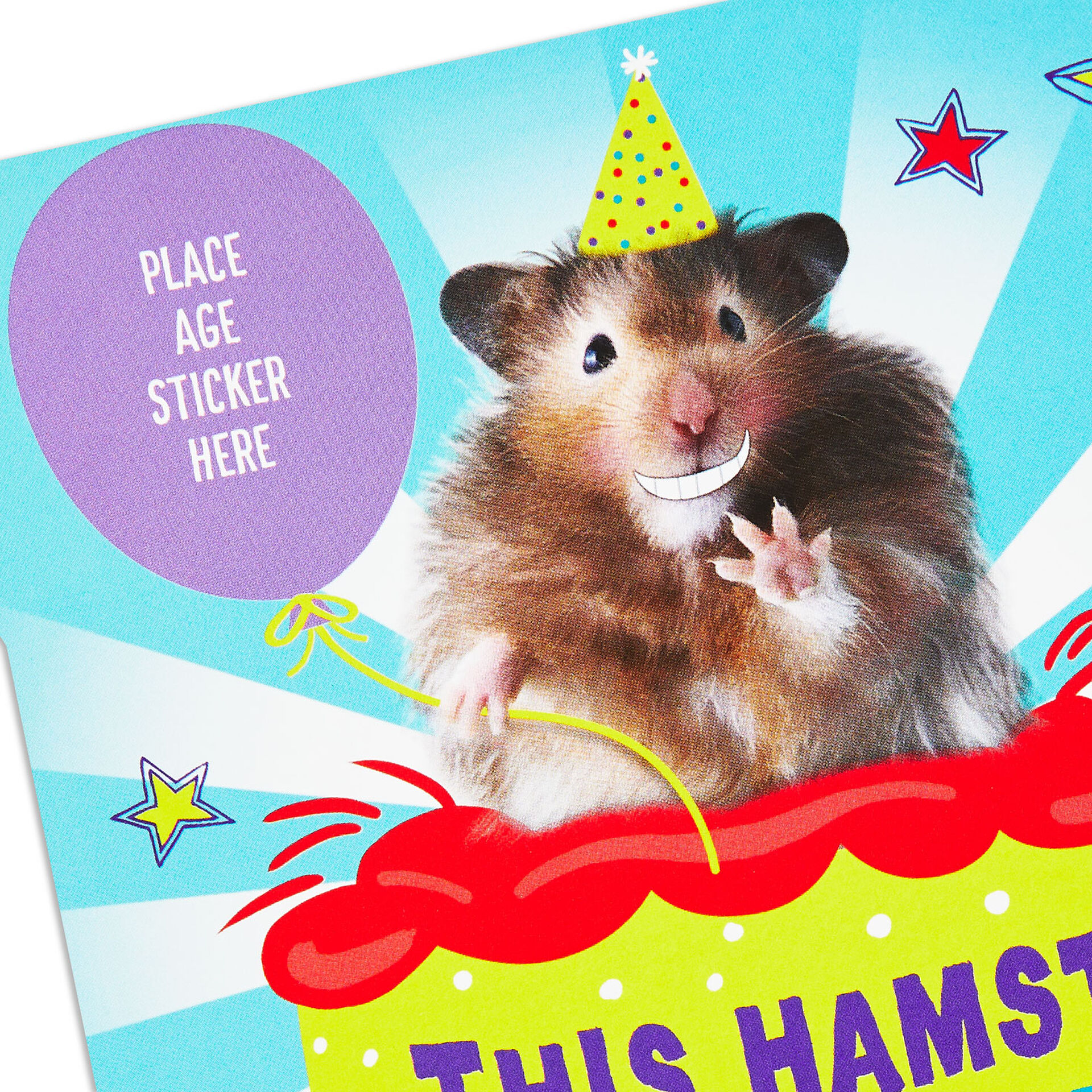 Tooting Hamster Customizable Kids Funny Birthday Card With Age Stickers ...