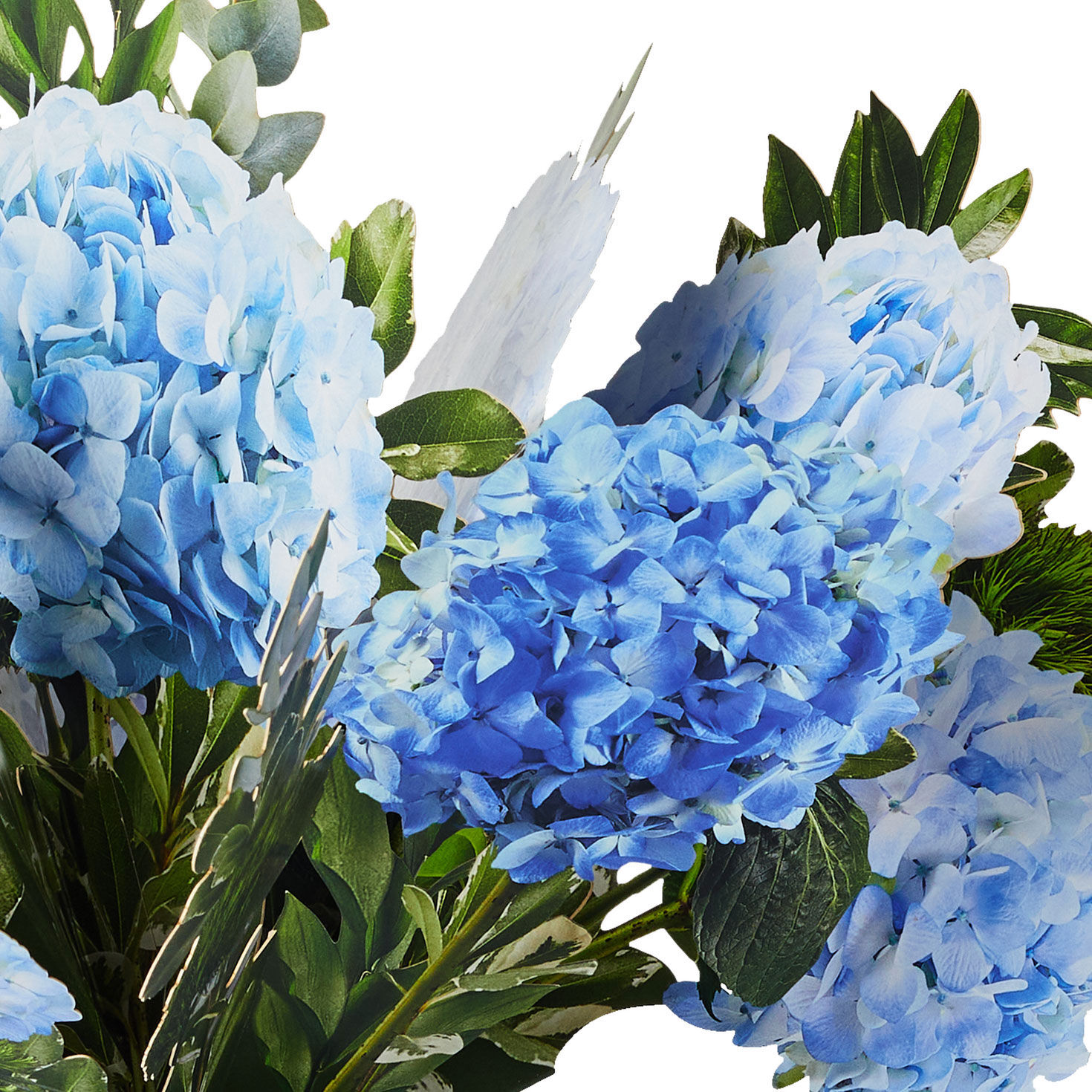 Build-a-Bouquet Blue Hydrangeas Pop-Up Paper Flowers - Greeting Cards ...