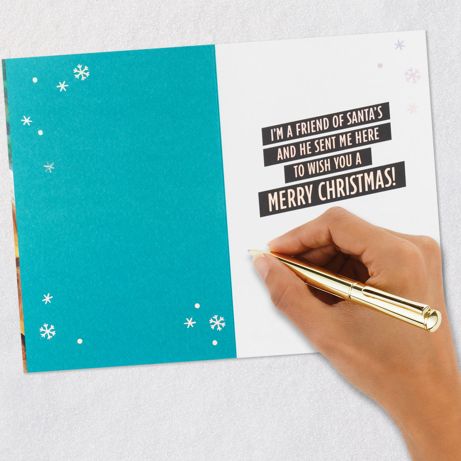 Friends The Holiday Armadillo Christmas Card Greeting Cards Hallmark