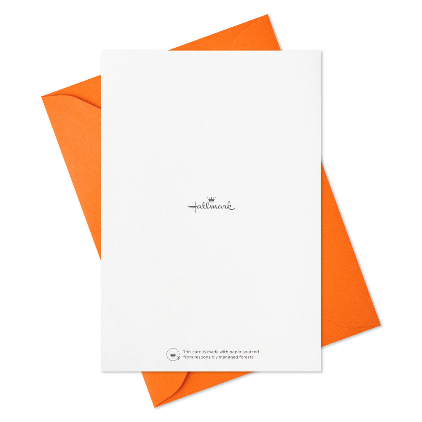 You Are the Best Blank Note Cards, Pack of 5 - Note Cards & Stationery ...