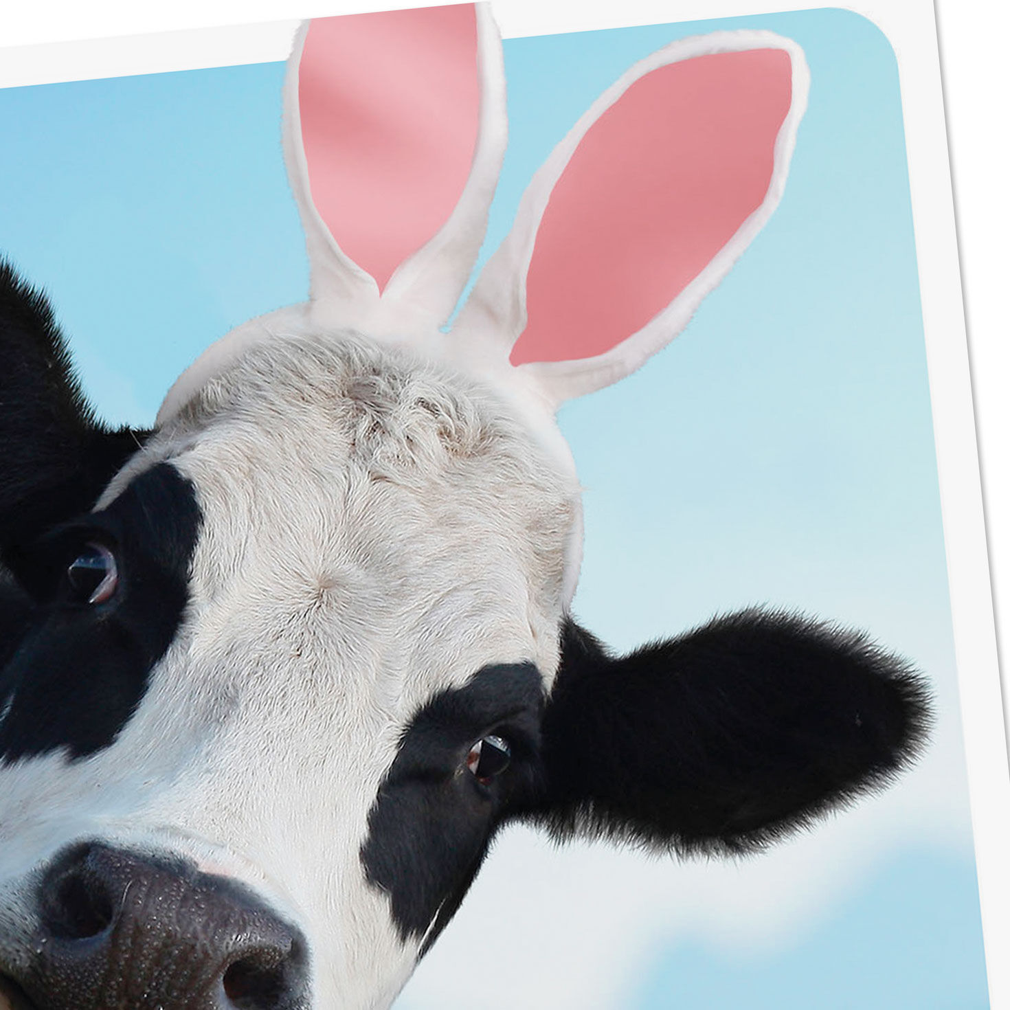 Best Wishes From the Easter Cow Funny Easter Card for Kids - Greeting ...