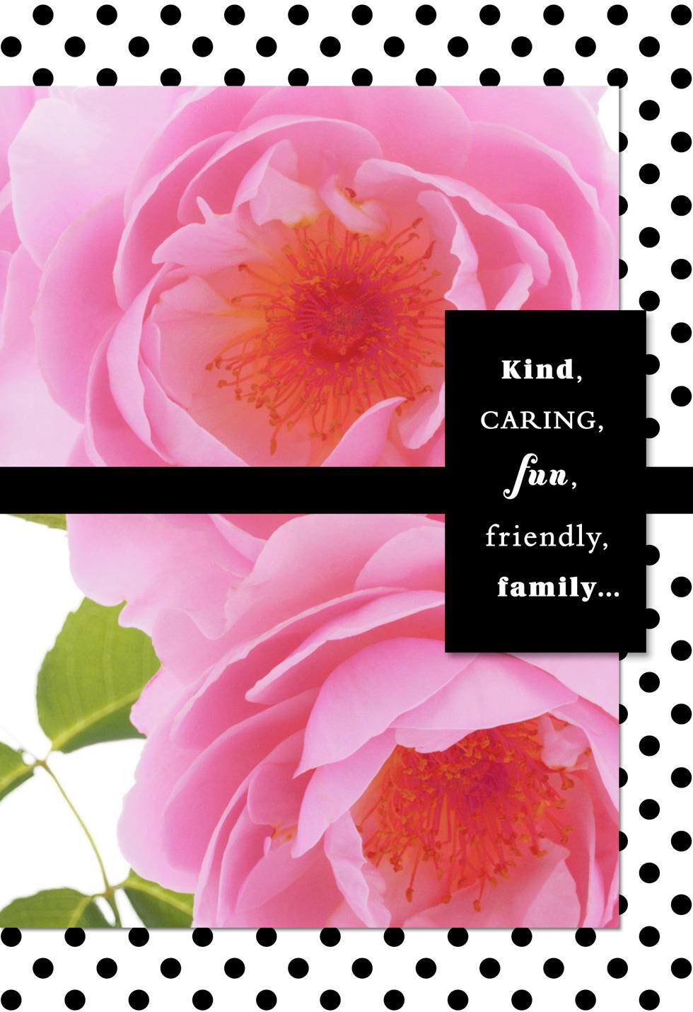 You re Wonderful Birthday Card For Daughter in Law Greeting Cards you-re-wonderful-birthday-card-for-daughter-in-law-greeting-cards