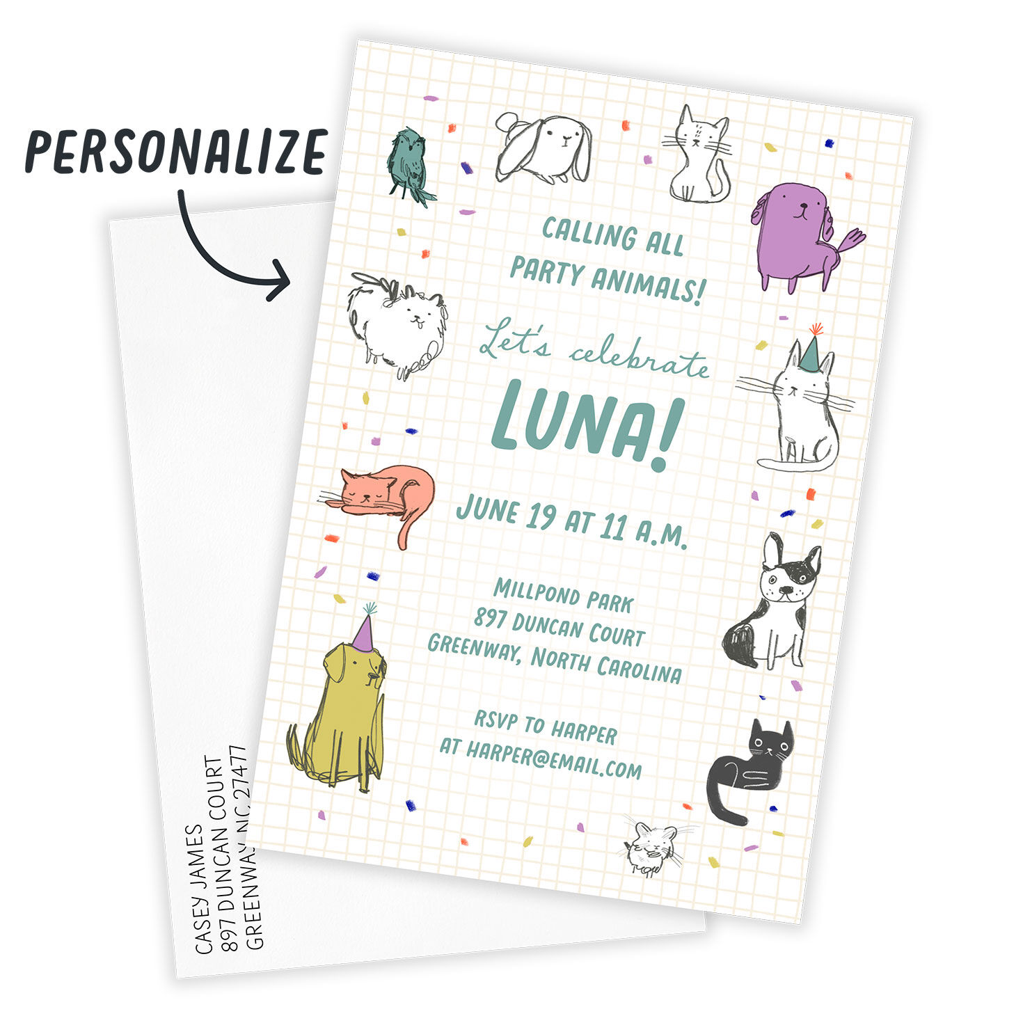 Party Animal Pets Flat Birthday Invitation - Invitations | Hallmark