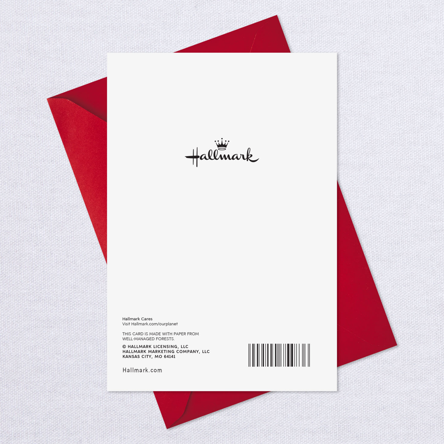 Special Delivery Christmas Card for Mail Carrier - Greeting Cards ...