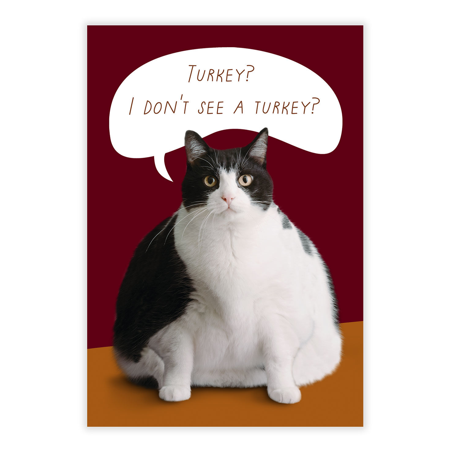 Fat Cat Funny Thanksgiving eCard - eCards | Hallmark