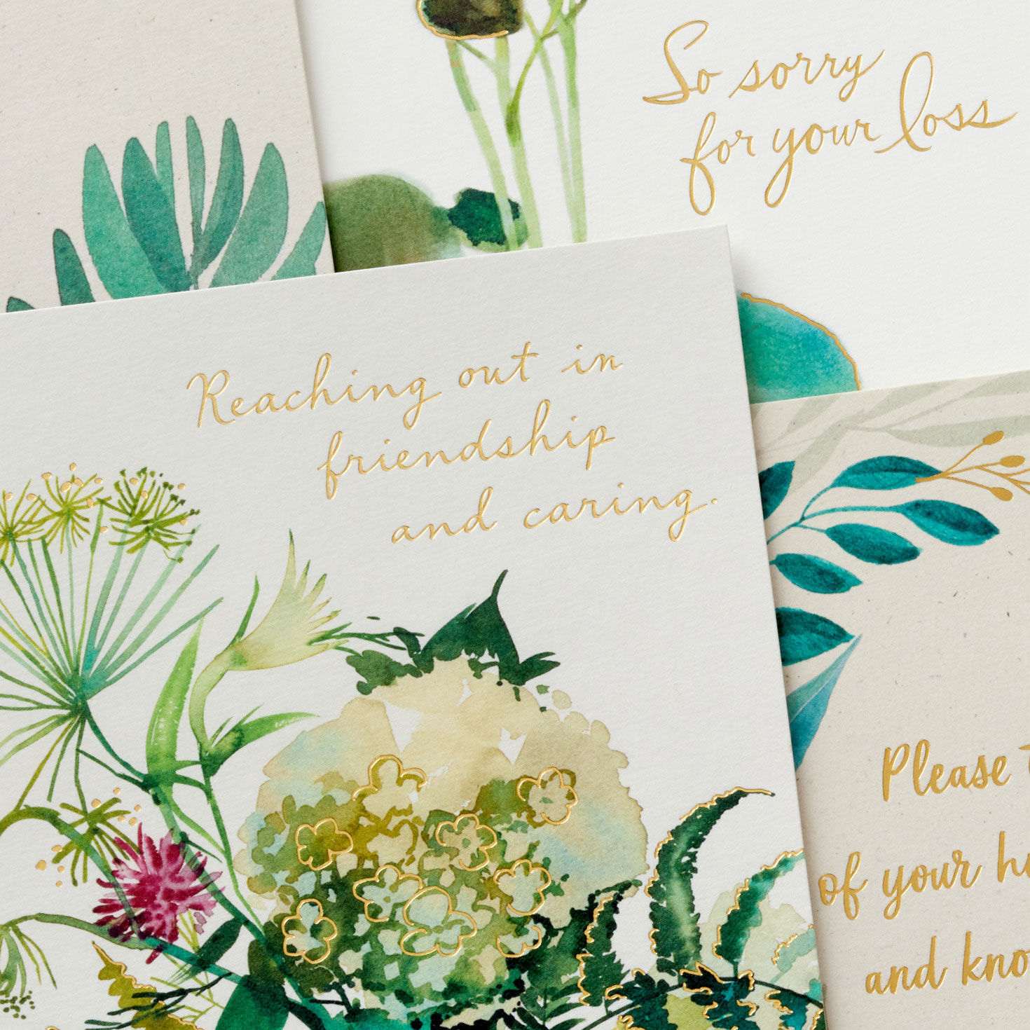 Watercolor Botanicals Boxed Sympathy Cards Assortment, Pack of 12 ...